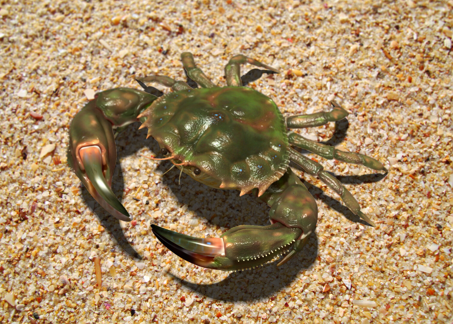 ArtStation - Crab study