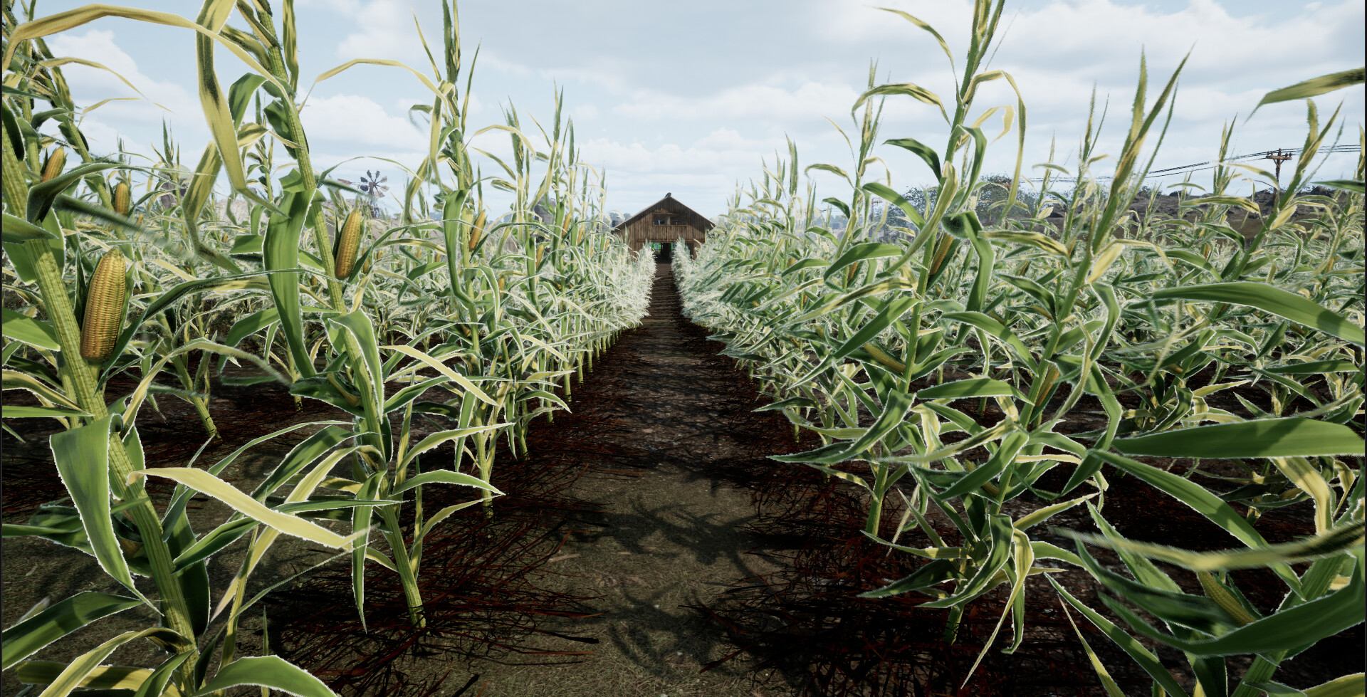 Hannah Winn - Lush Farm