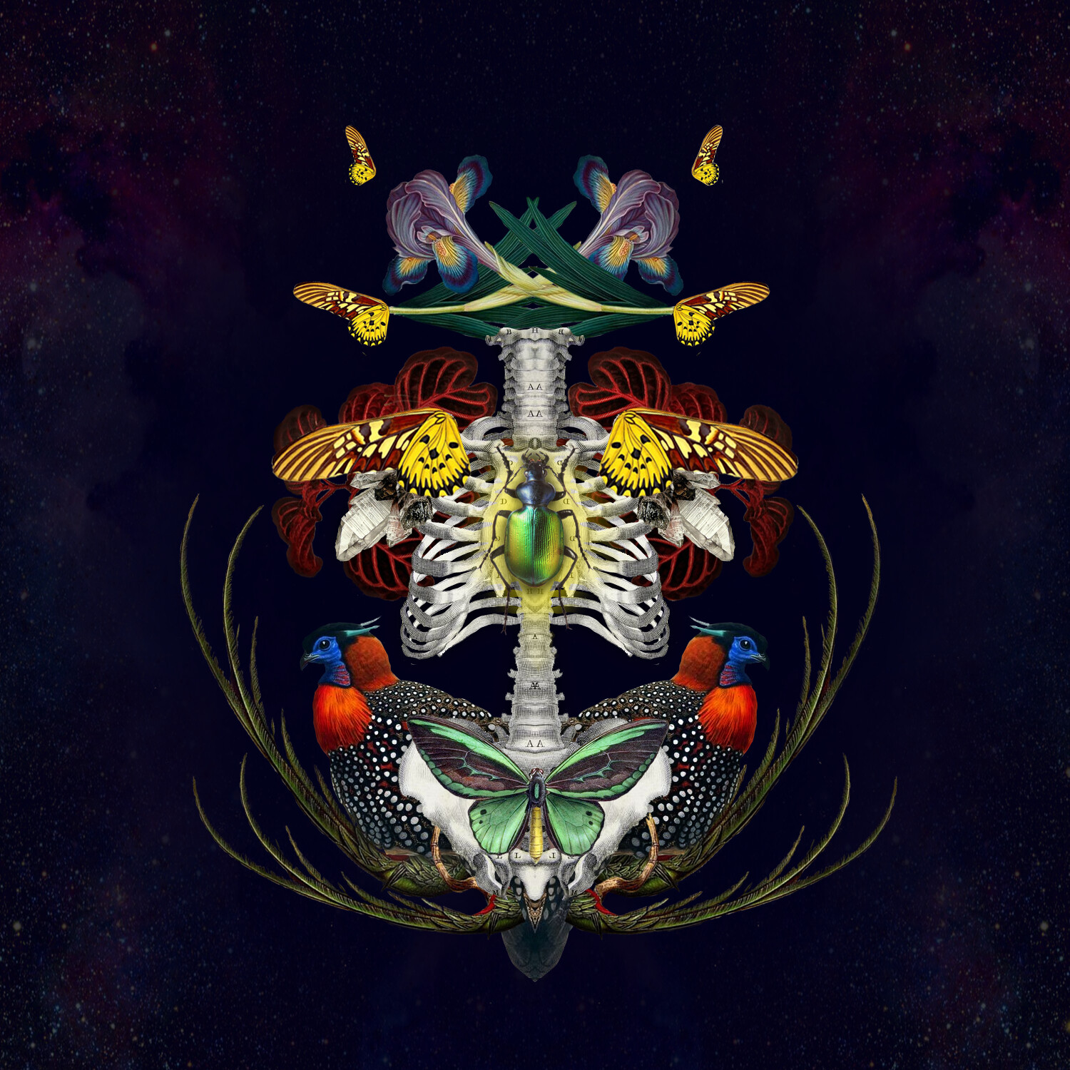 ArtStation - Equilibrium