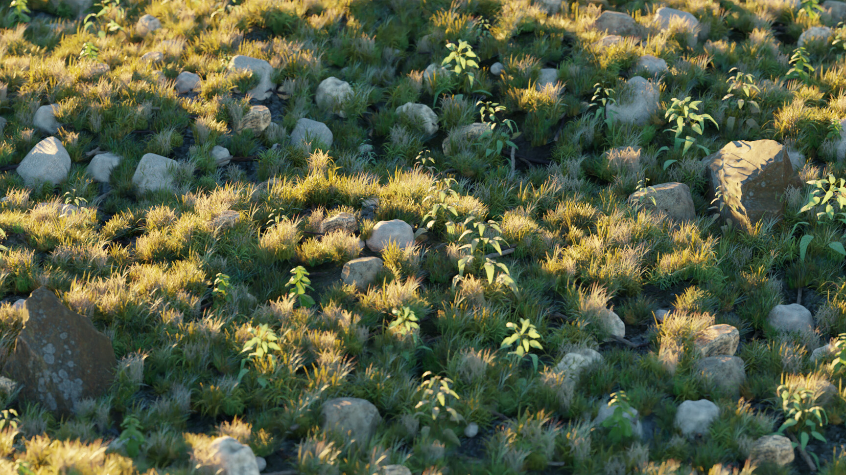 ArtStation - Nature Test