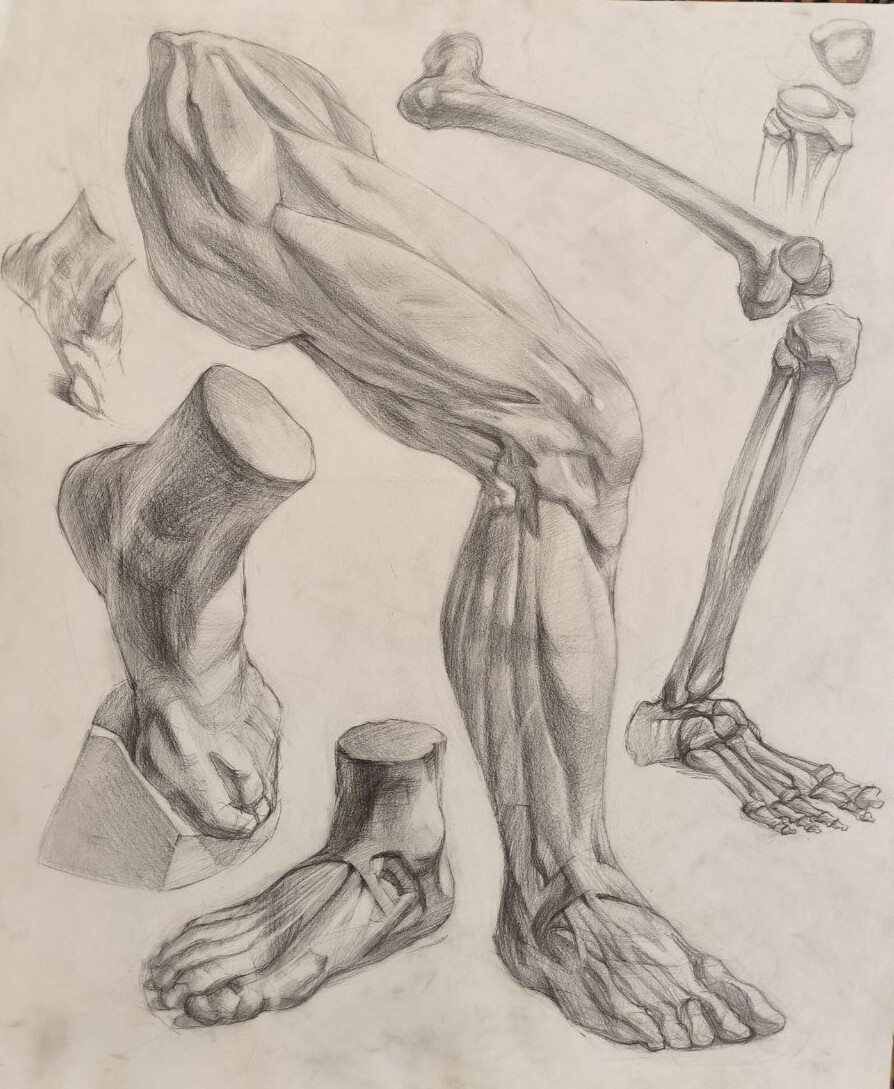 ArtStation - plaster sculpture drawing