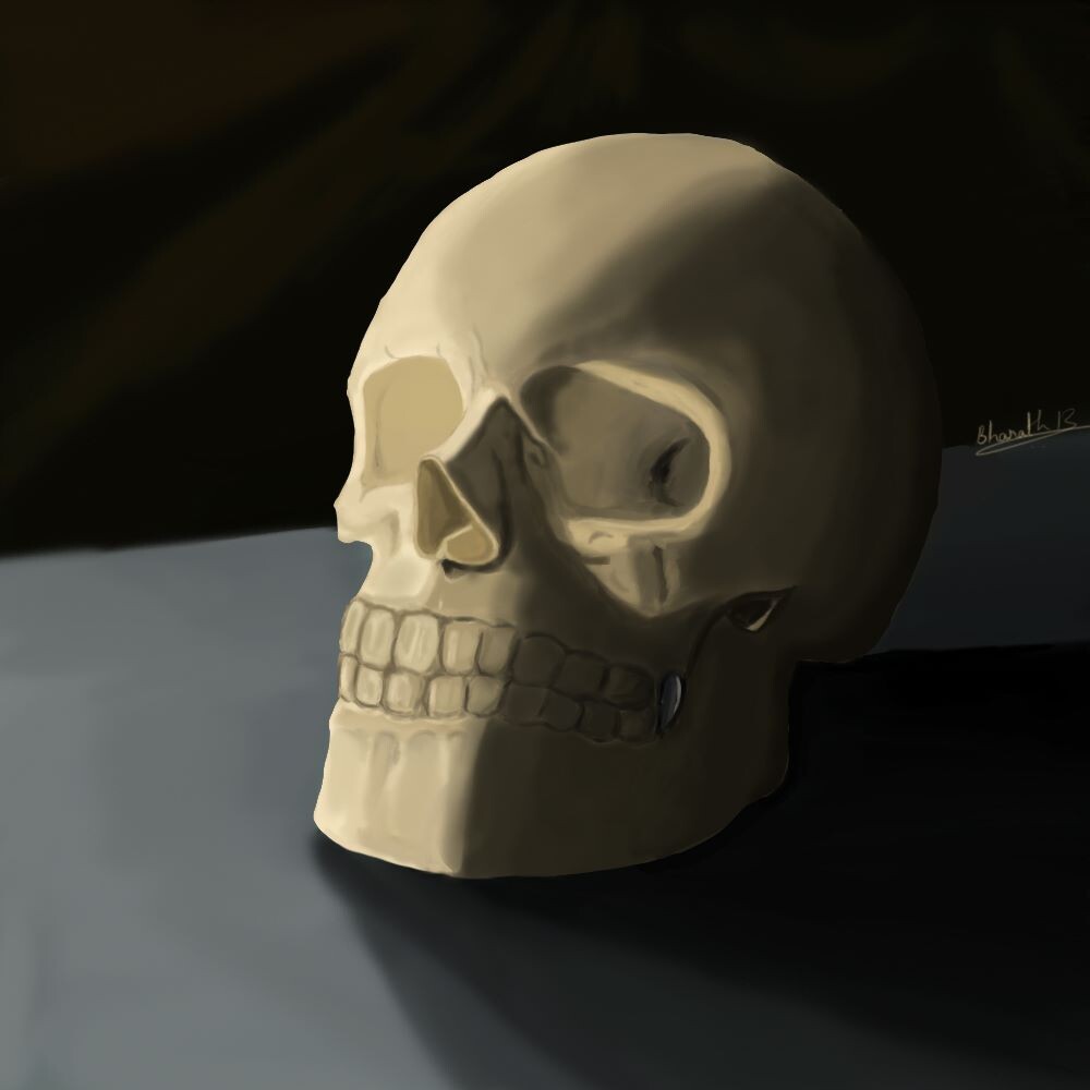 ArtStation - Skull painting
