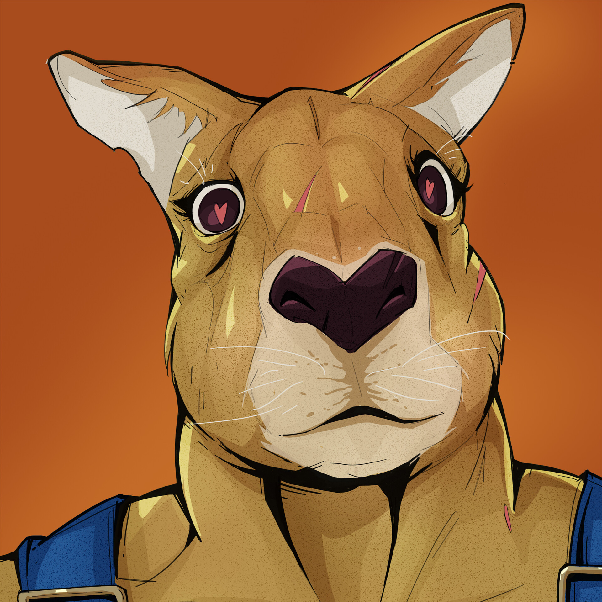 anthro kangaroo