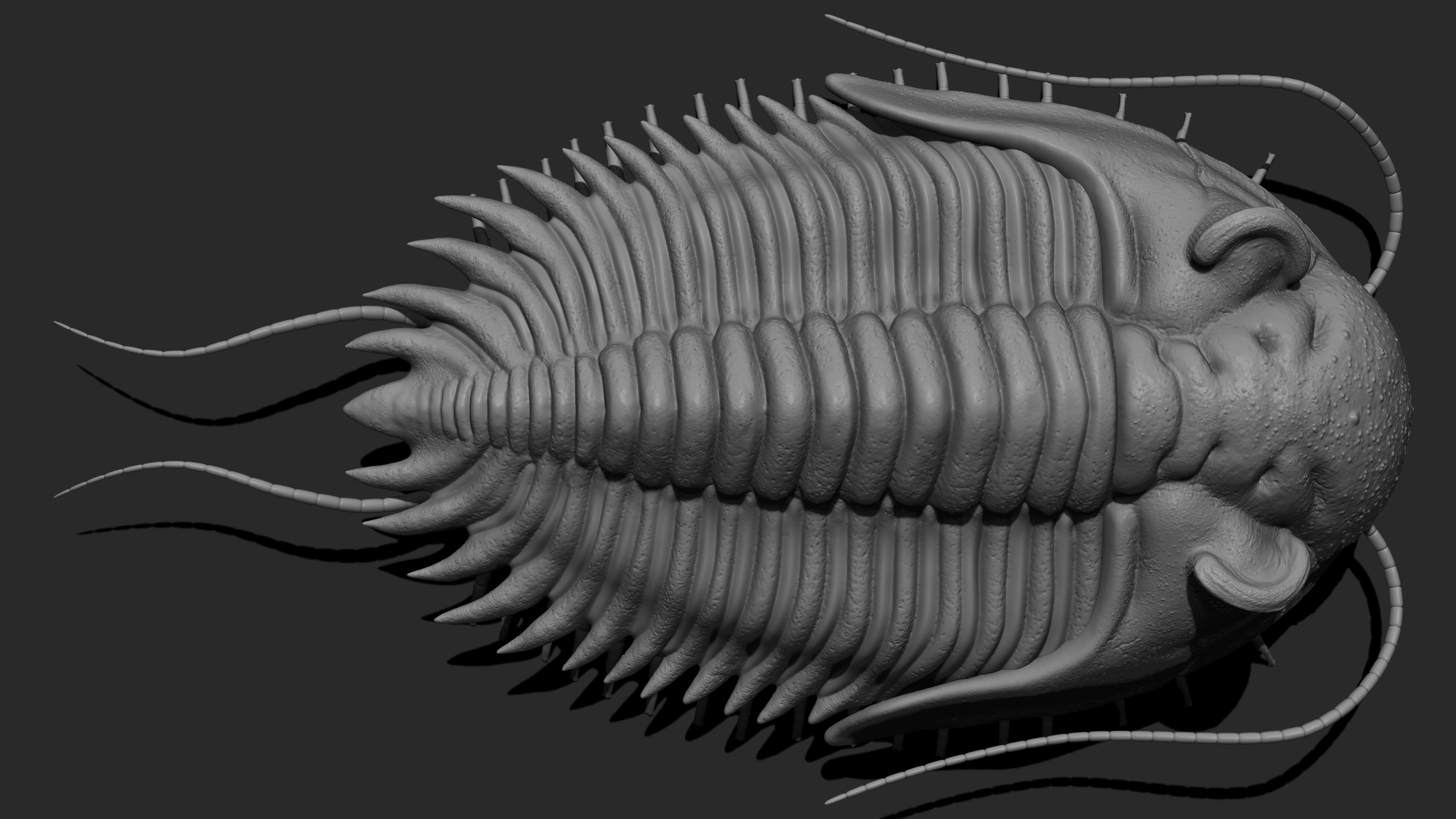 Omar-Kamel - Greenops Trilobite