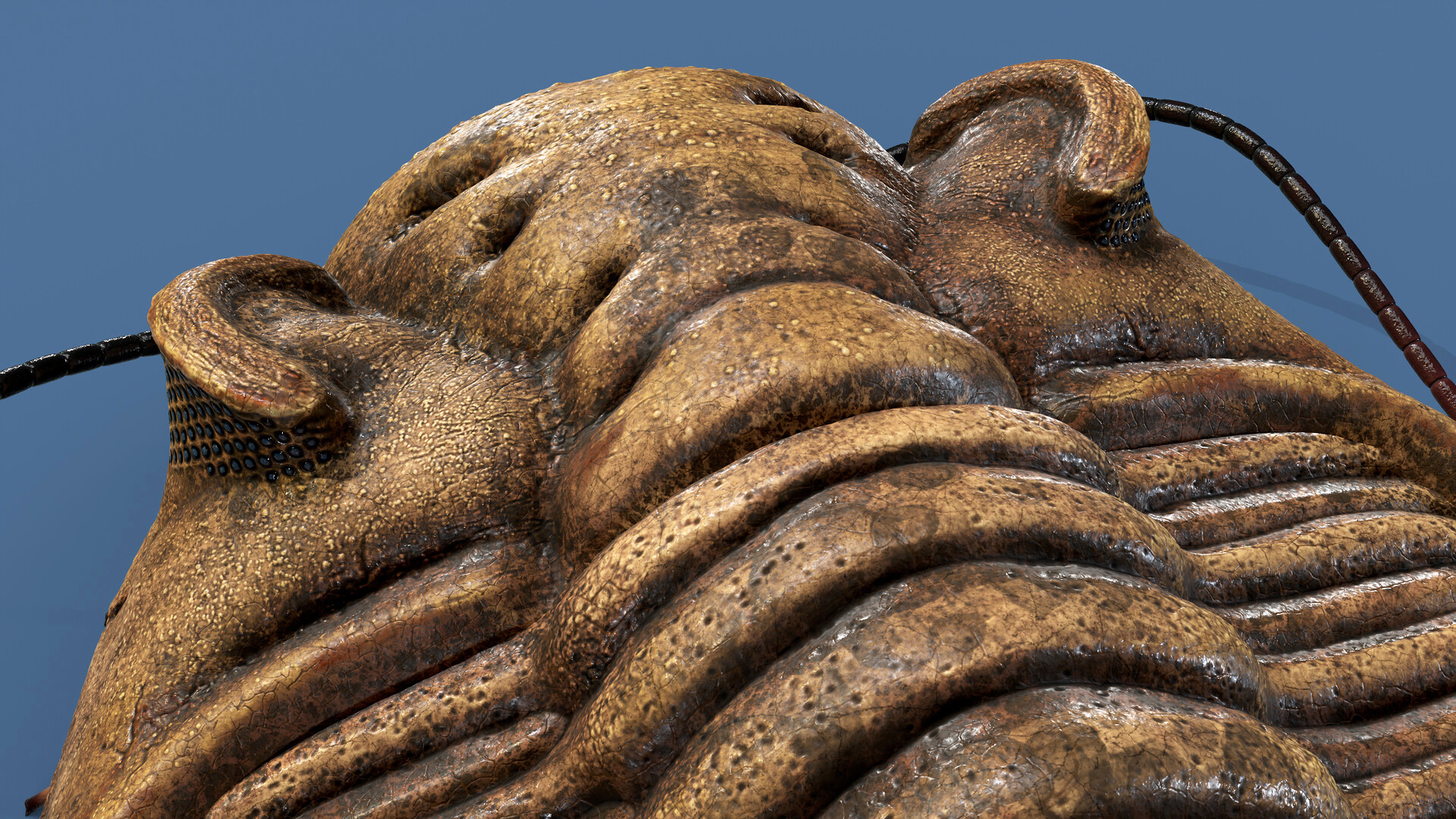 Omar-Kamel - Greenops Trilobite