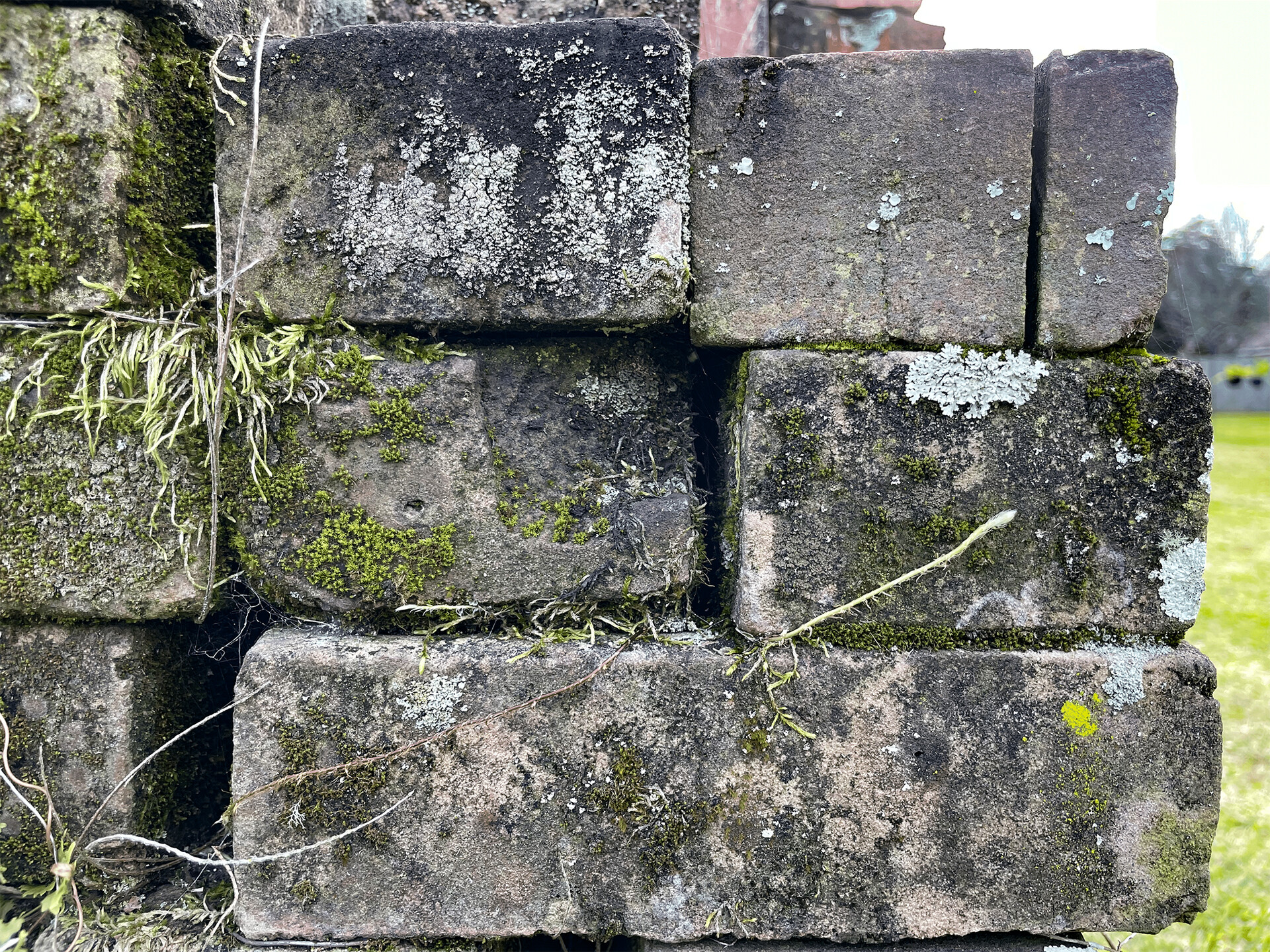 ArtStation - Mossy Brick Textures
