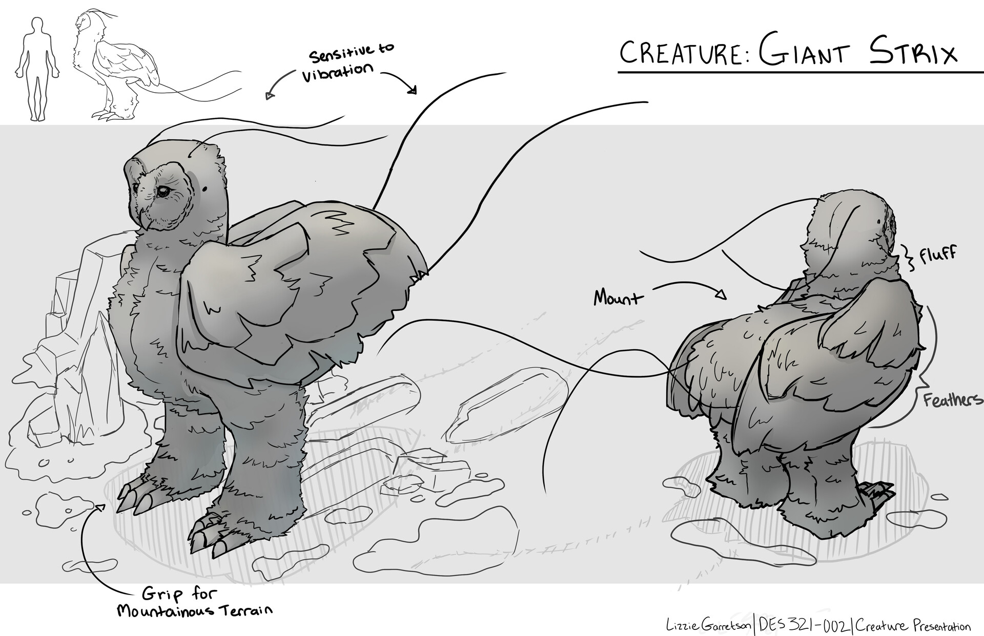 ArtStation - Creature Design-Giant Strix