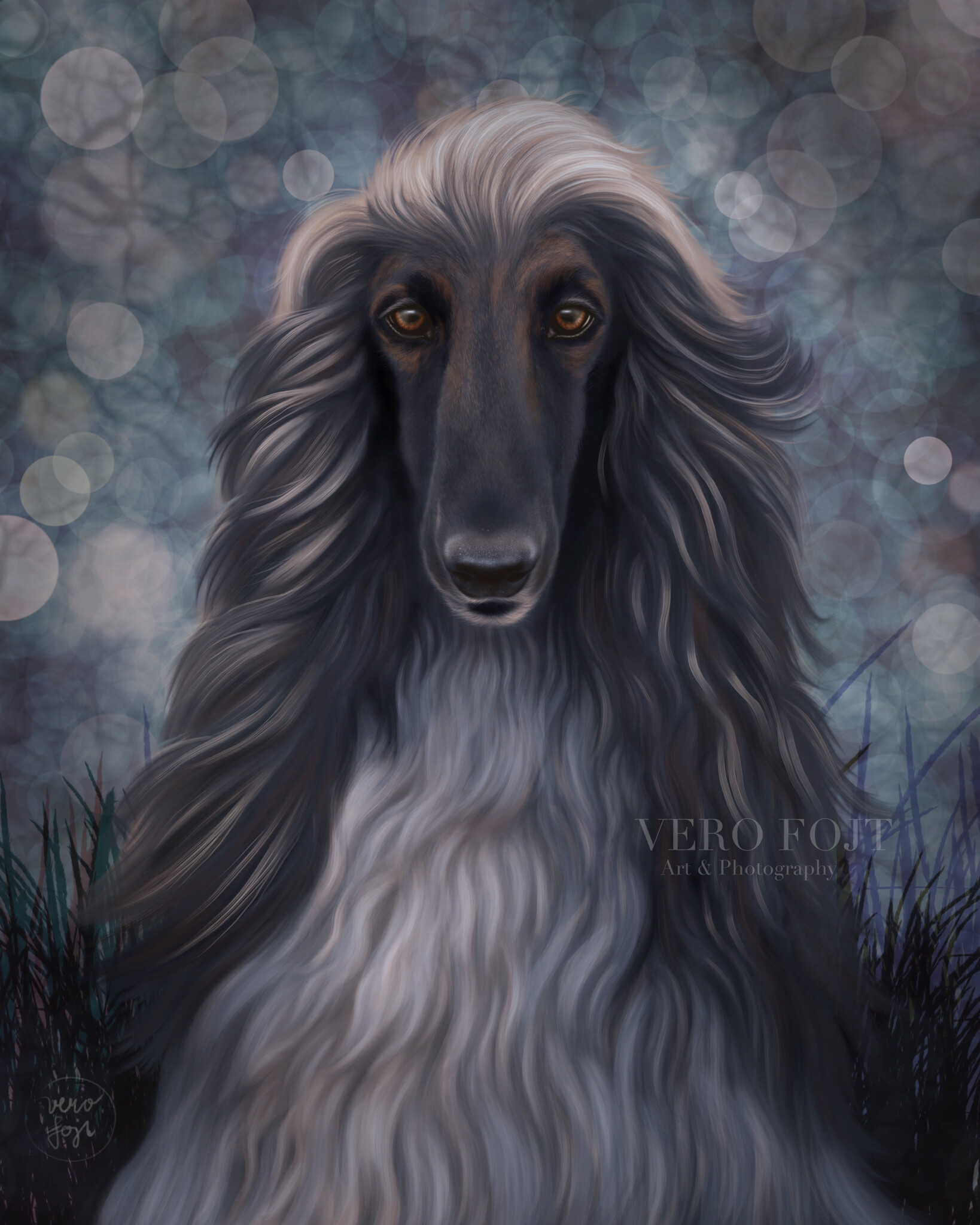 ArtStation - Portrait of an Afghan hound