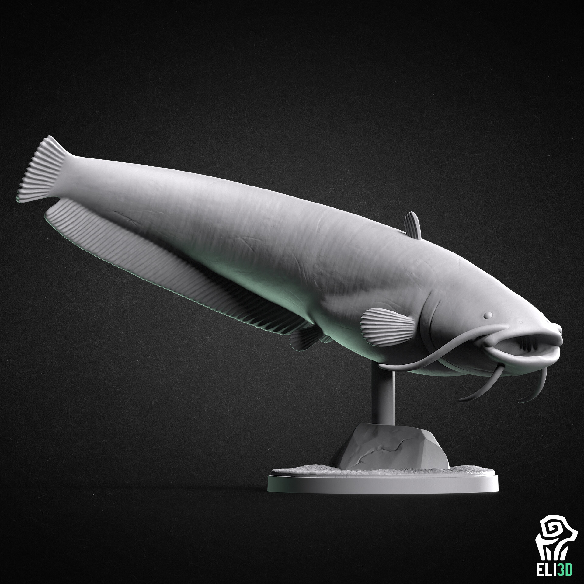 eli3D - Wels Catfish