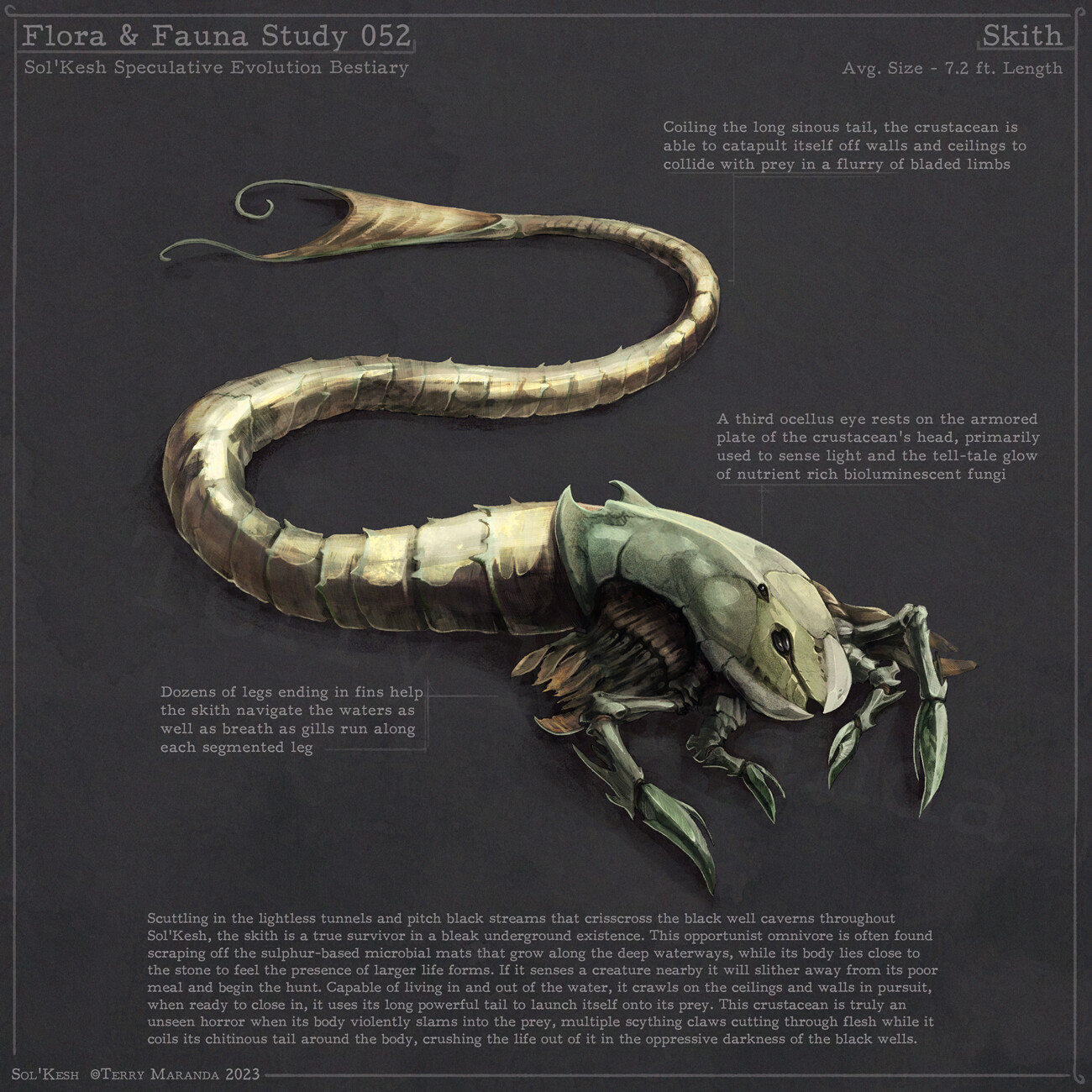 Terry Maranda - Skith