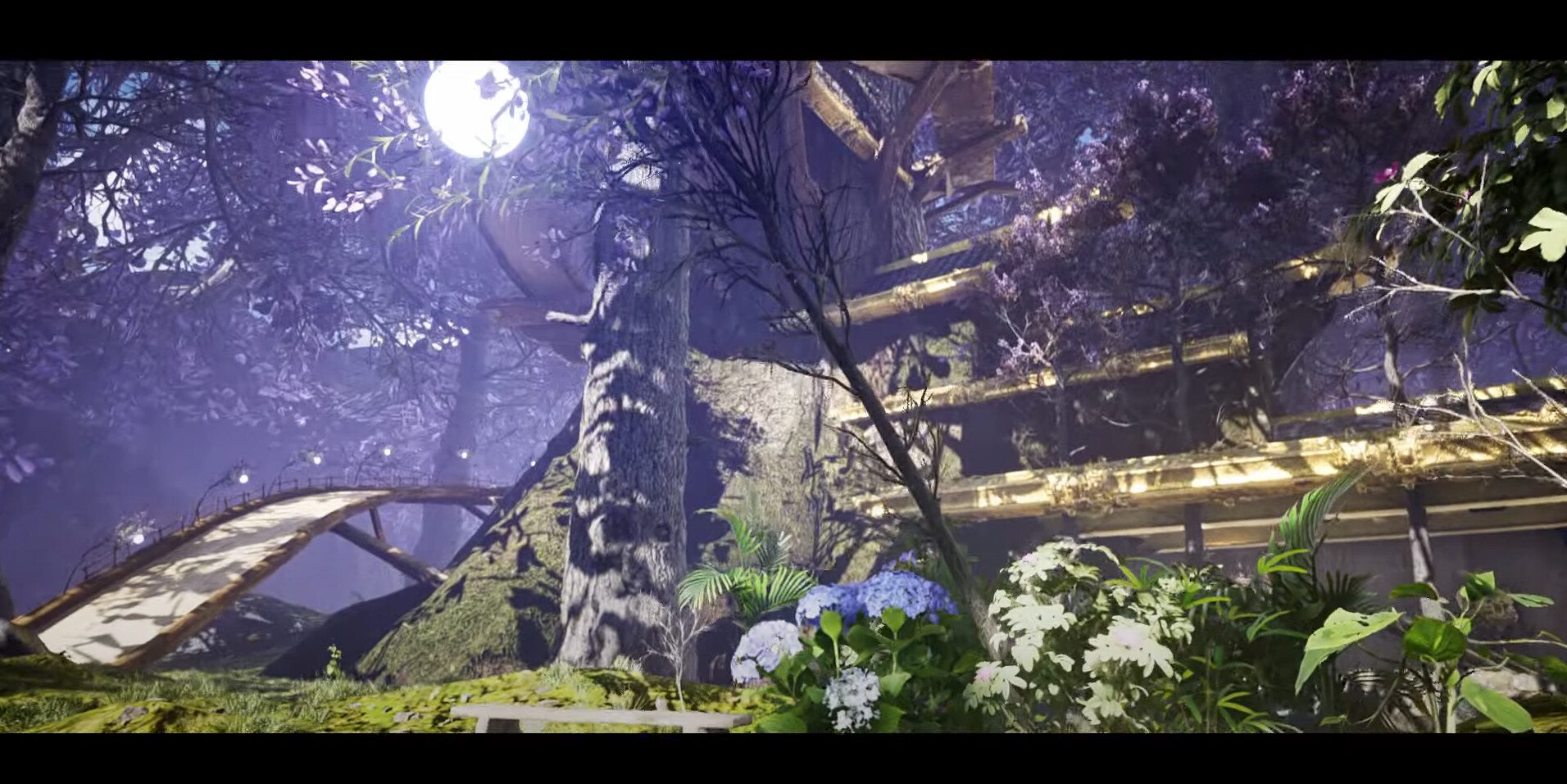 Night Elf Starting Area