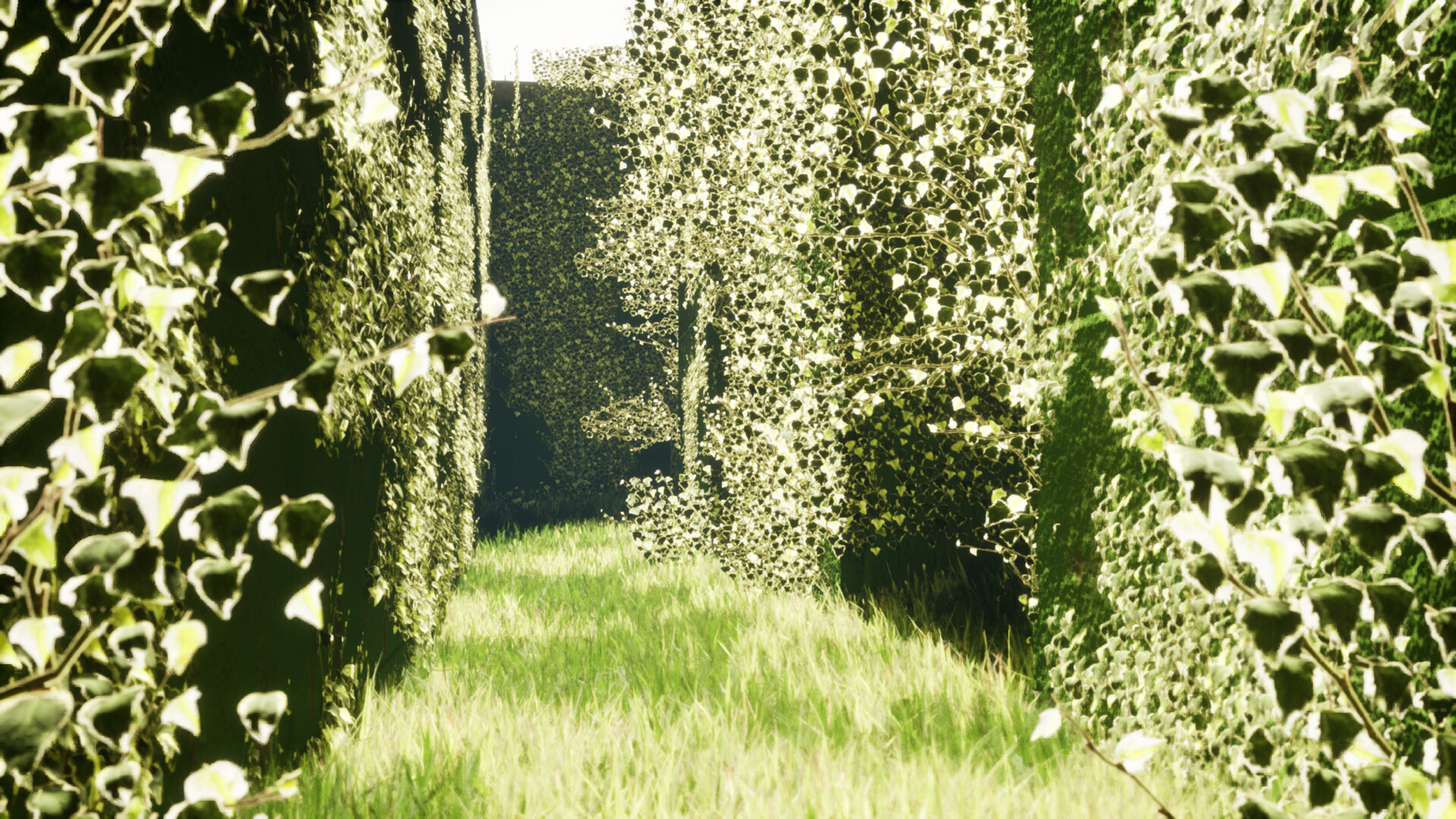 ArtStation - Maze Experience