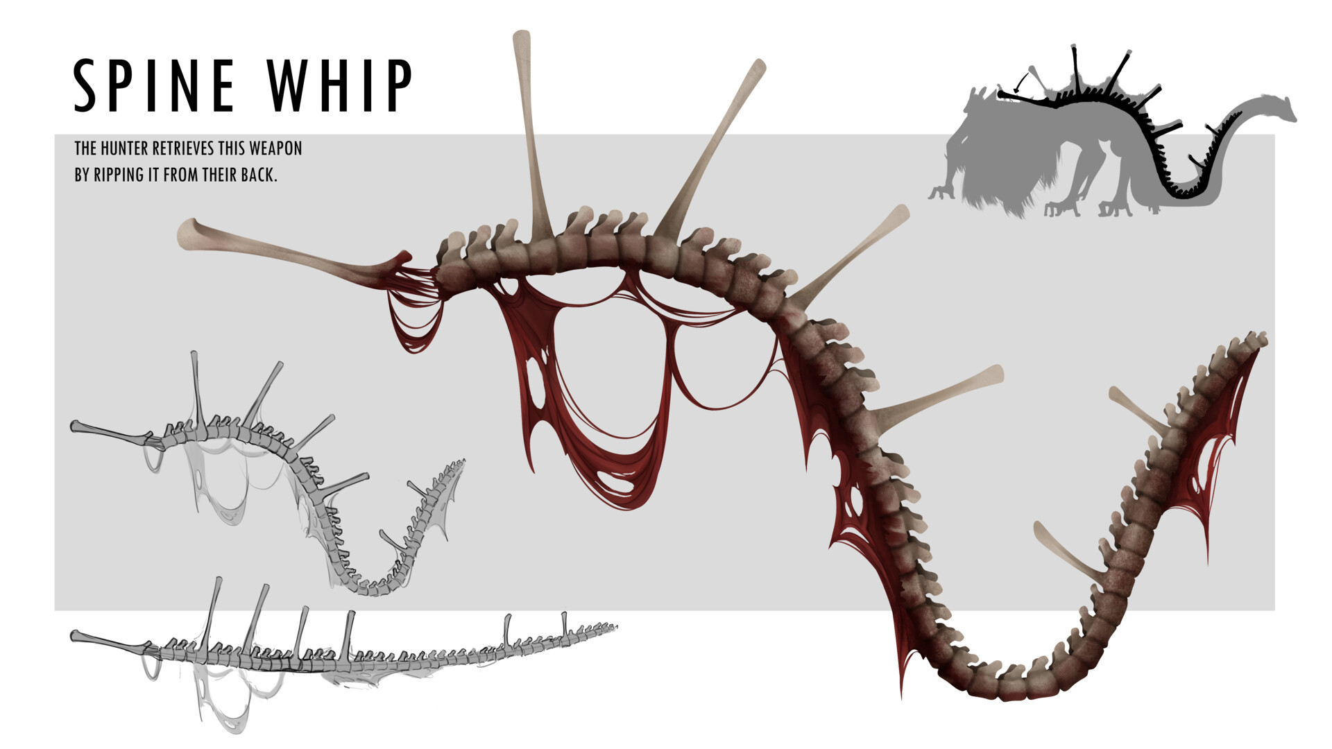 Scarlett Ainsworth - Spine Whip