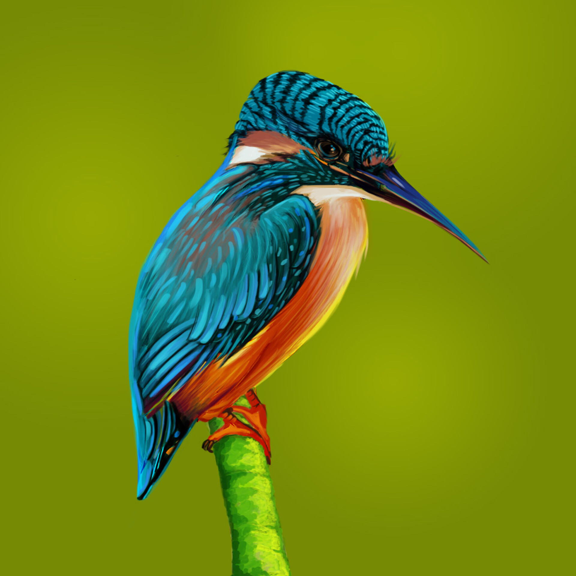 ArtStation - kingfisher