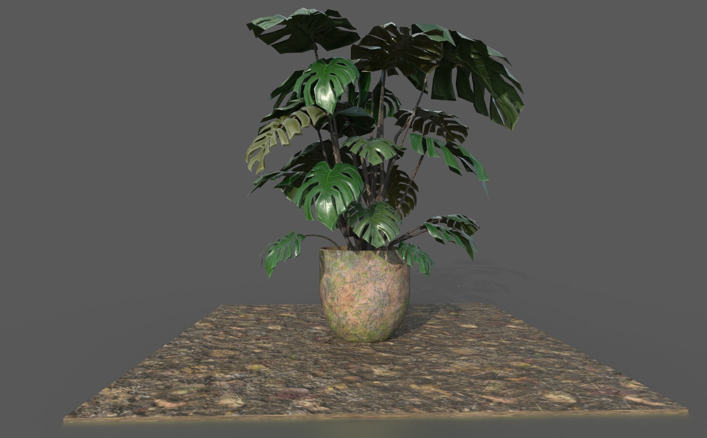 ArtStation - Tropical Plant 3D Modeling and texturing