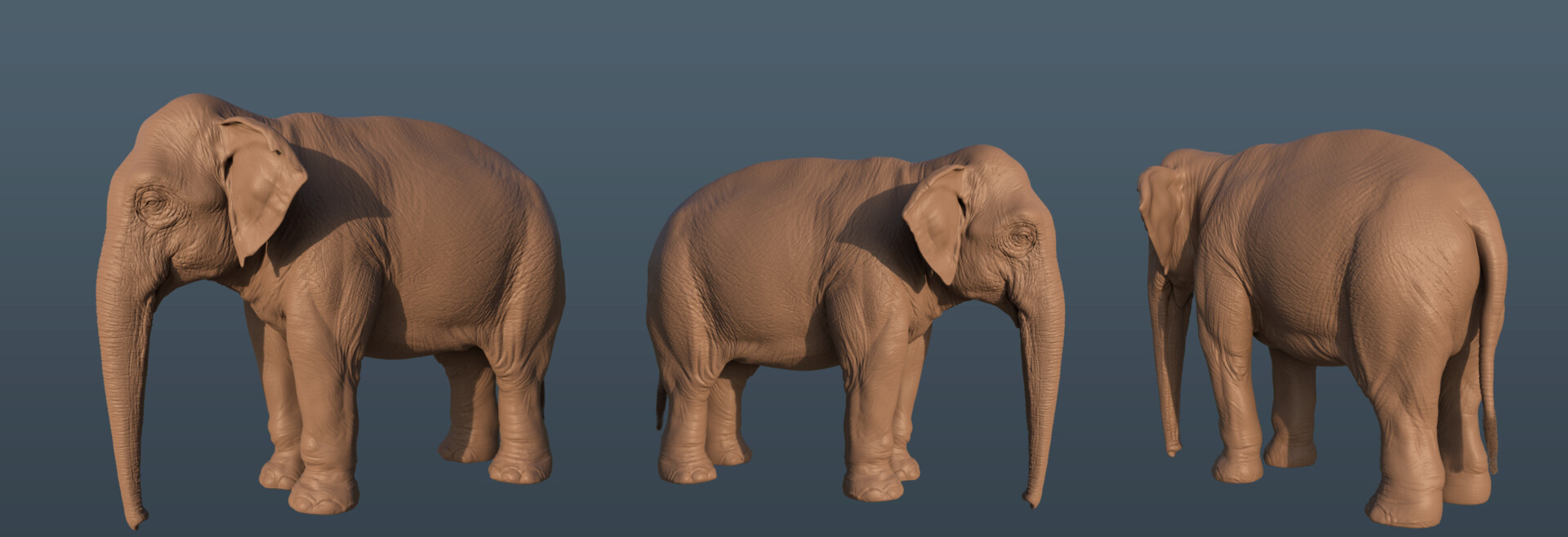 ArtStation - Animatronic elephant