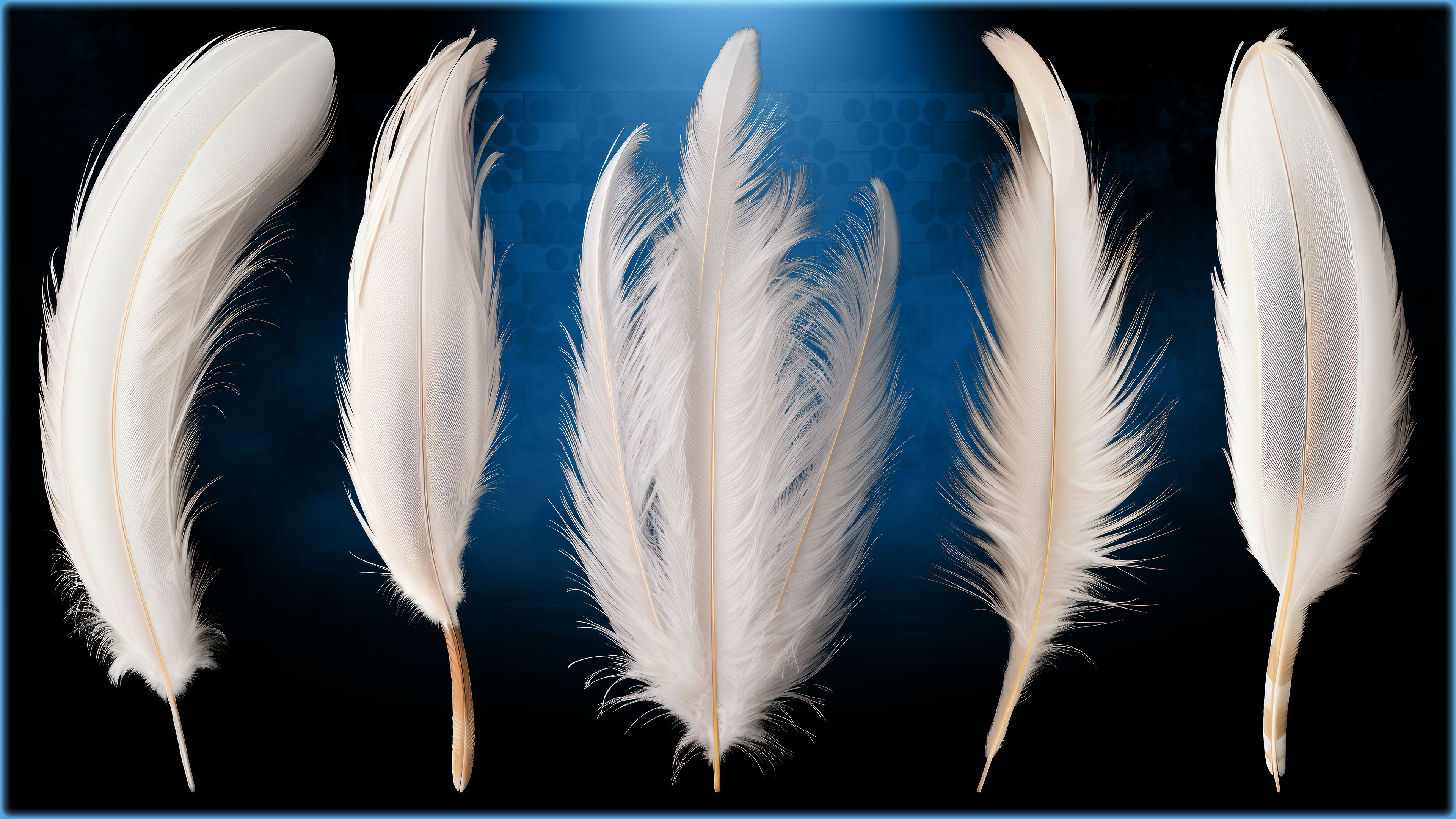 T - World - 50 Realistic Feather - PBR Textures (MEGA Bundle) - Vol 5
