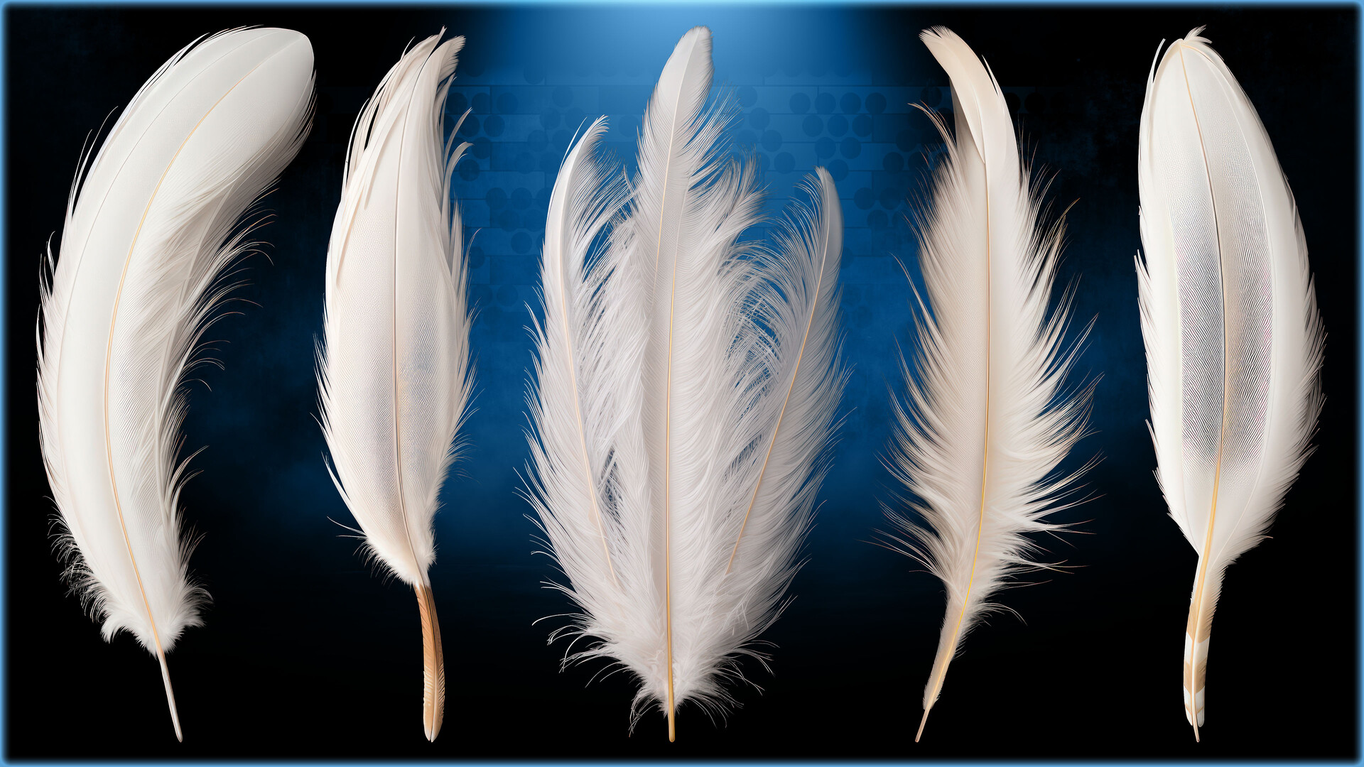 T - World - 50 Realistic Feather - PBR Textures (MEGA Bundle) - Vol 5