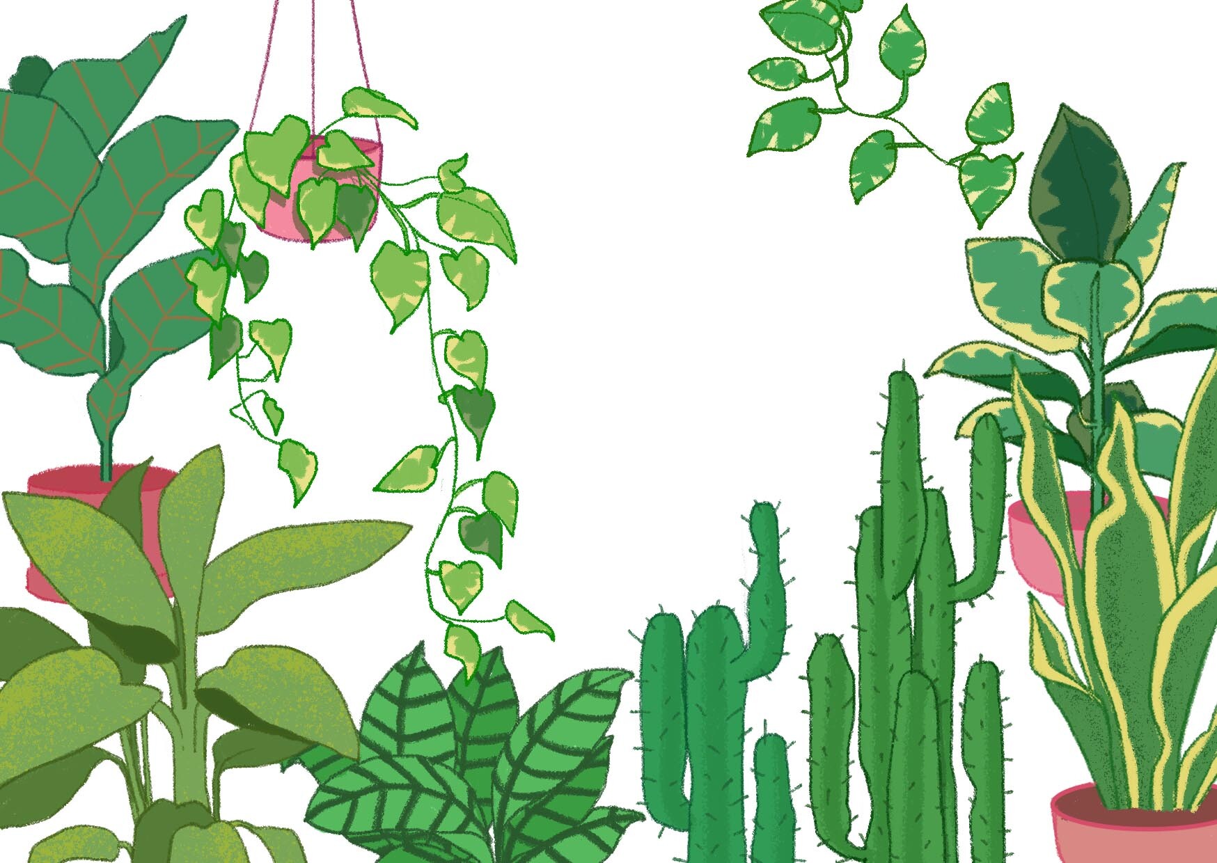 Wan Nurul Ezzati - Plant Cats Illustrations and as a prints