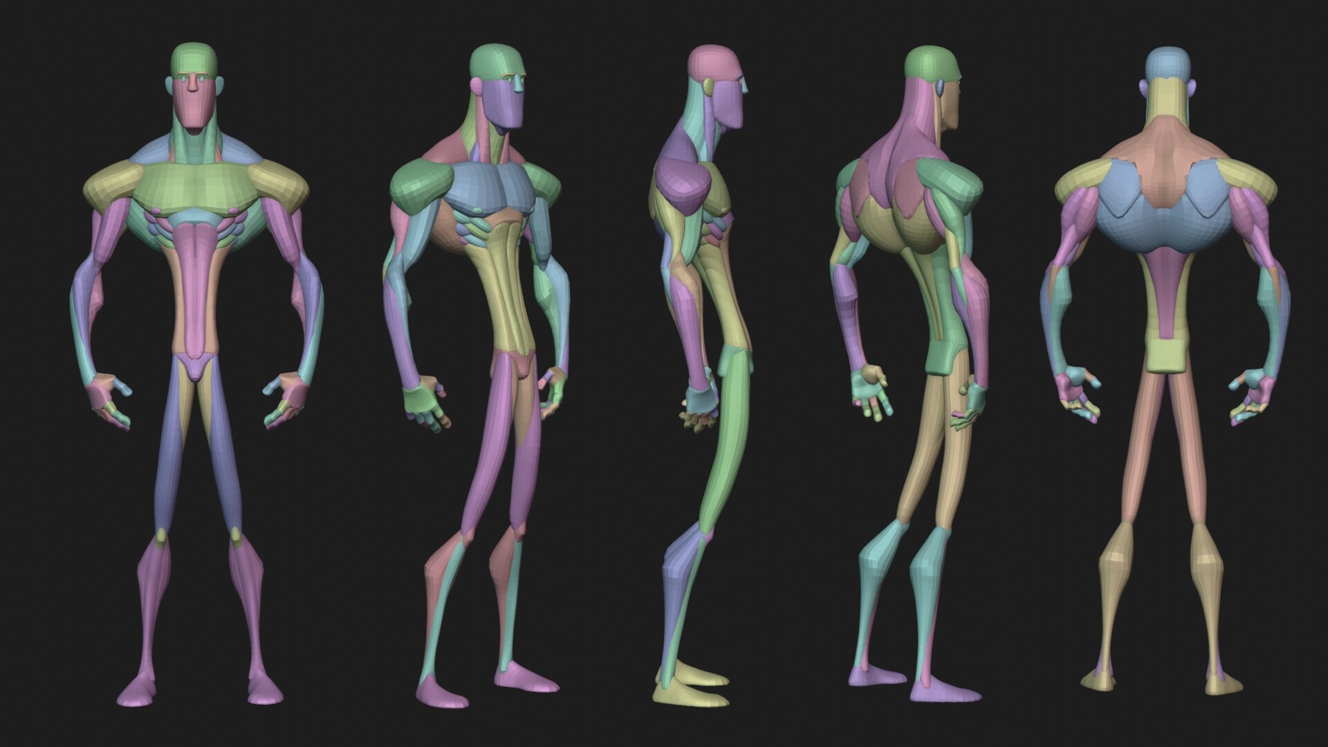 George Zaky - Cartoon Anatomy Blockout