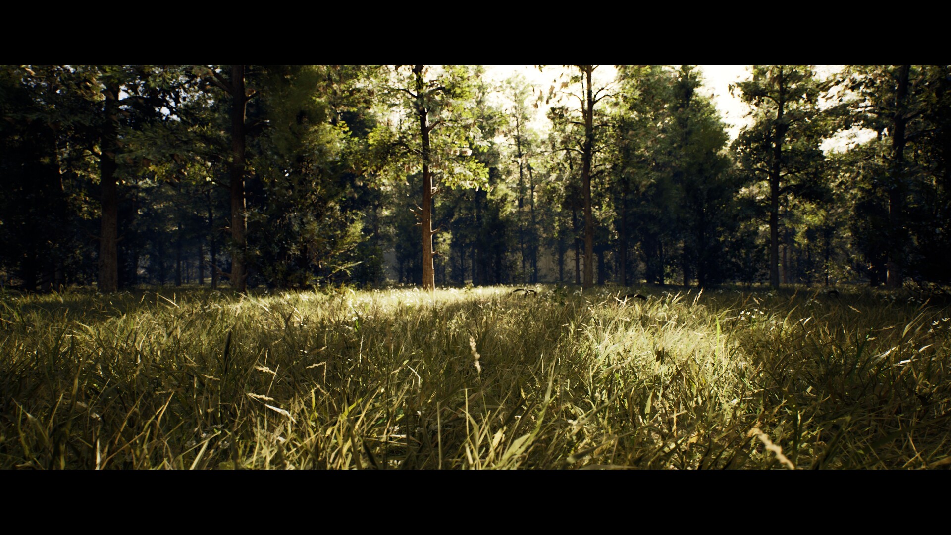 Juan Ayala - Escape from stress with this relaxing video of a river and waterfall in Unreal ...