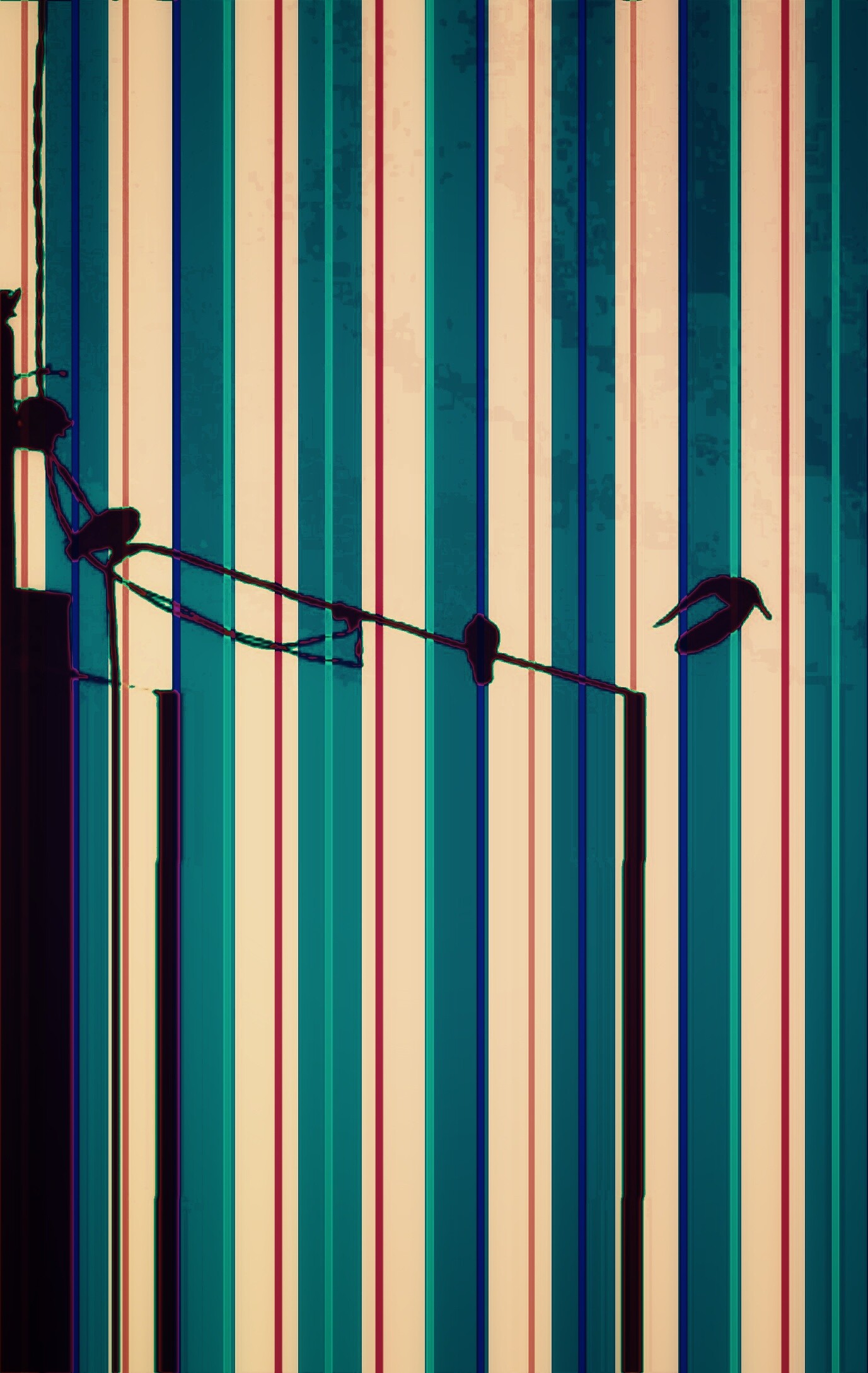 ArtStation - Ptičji Cirkus (Bird Circus)