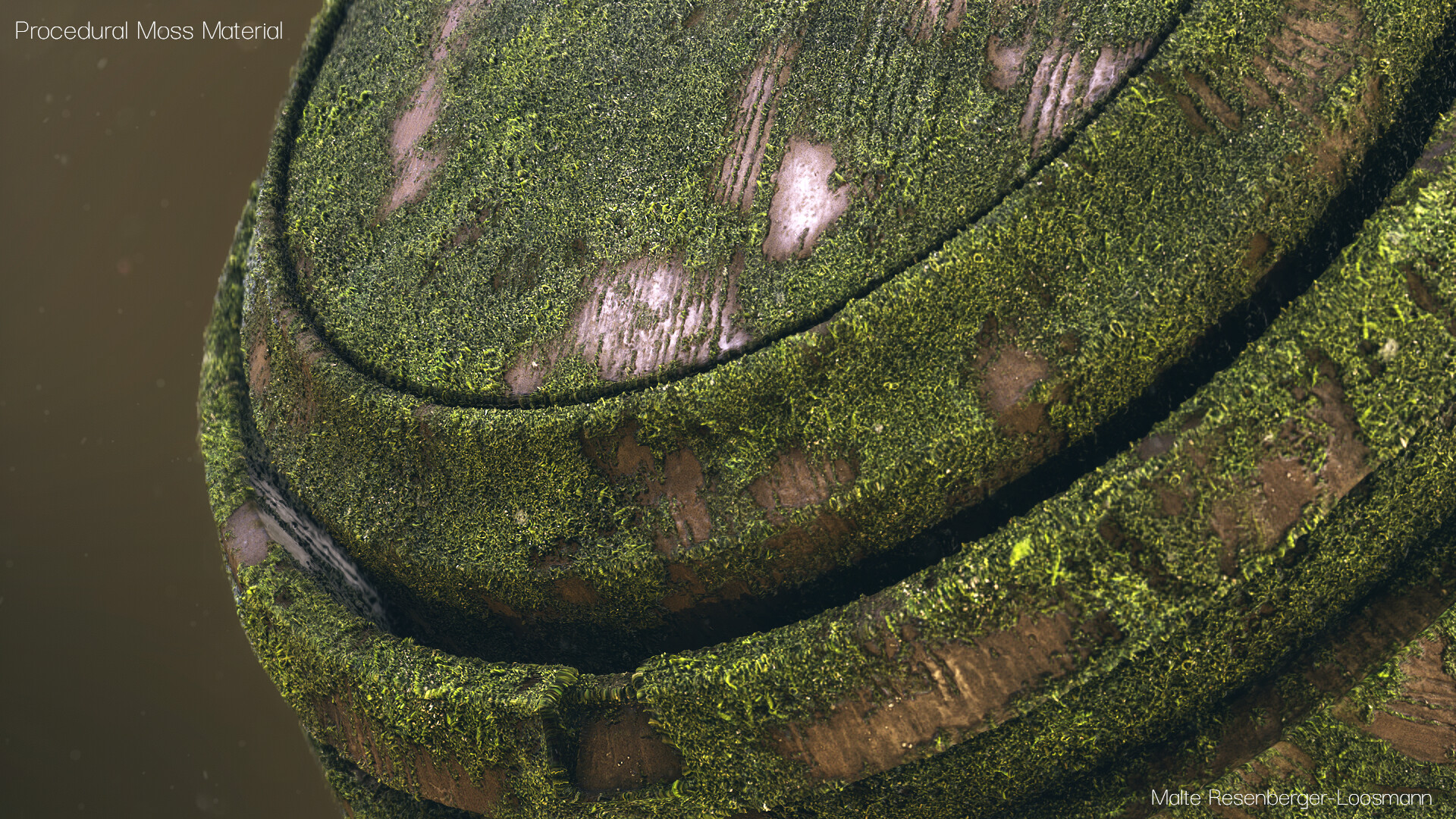 Malte Resenberger-Loosmann - Procedural Wood Material