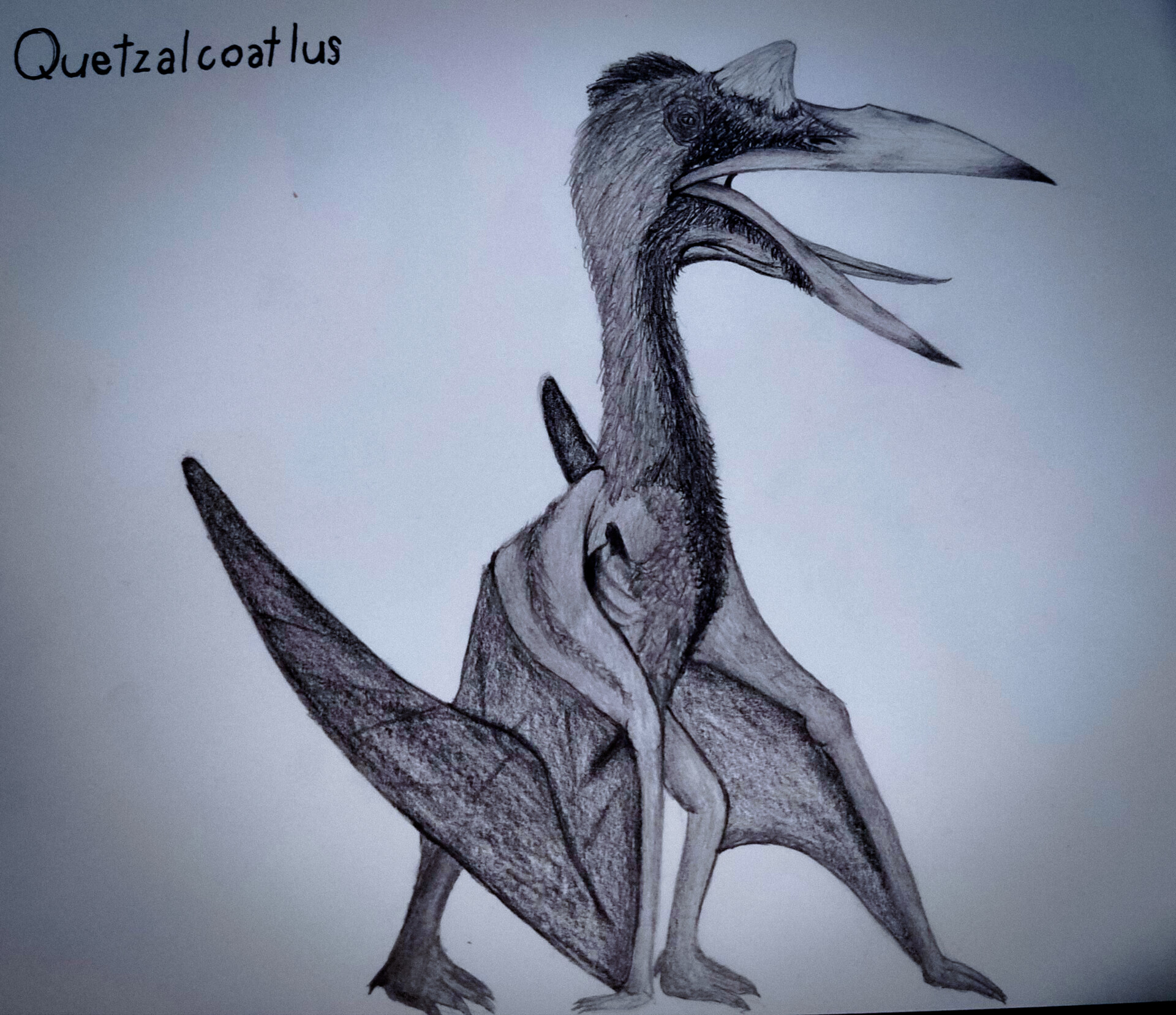 ArtStation - Quetzalcoatlus
