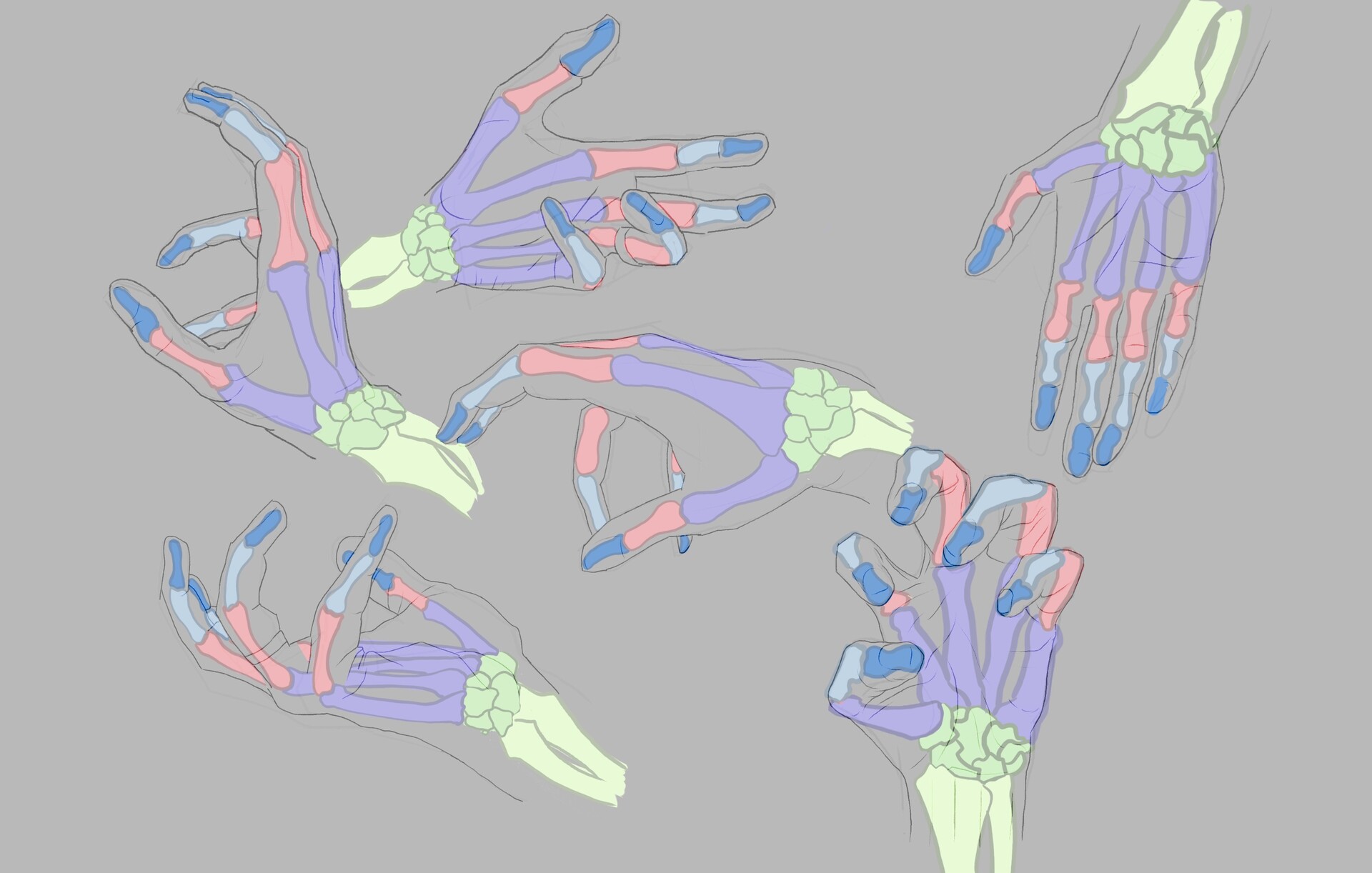 ArtStation - Hand anatomy