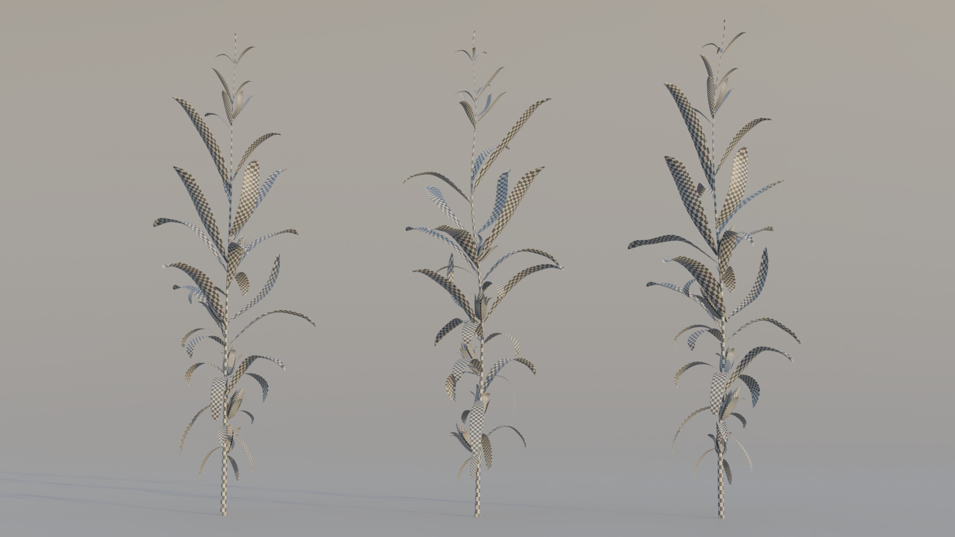 sketchup corn