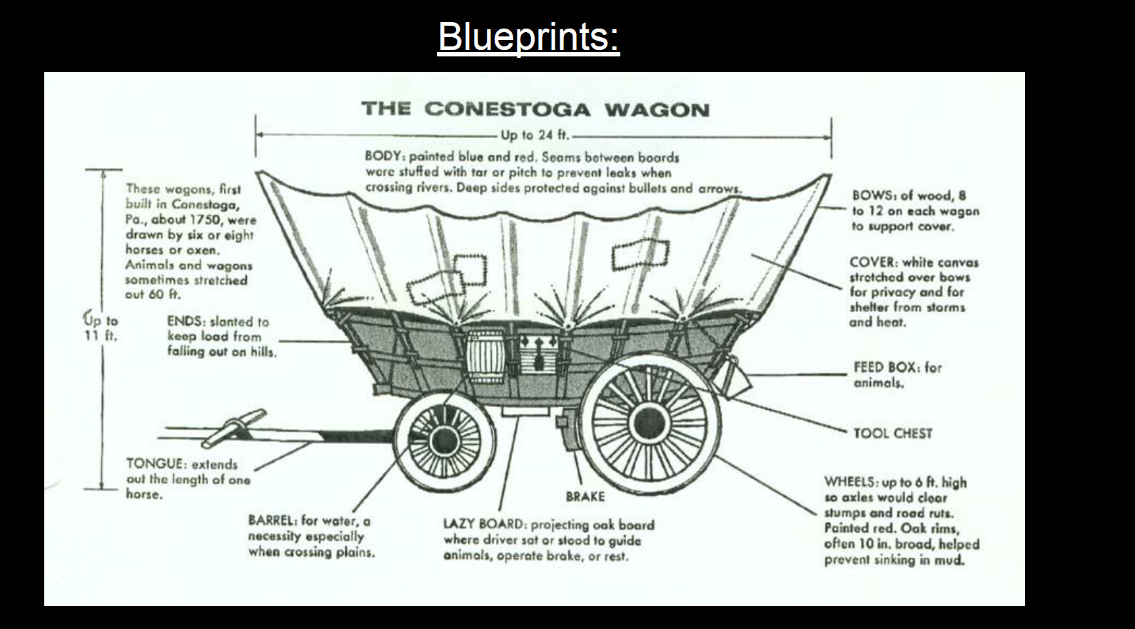 Conestoga Wagon Diagram