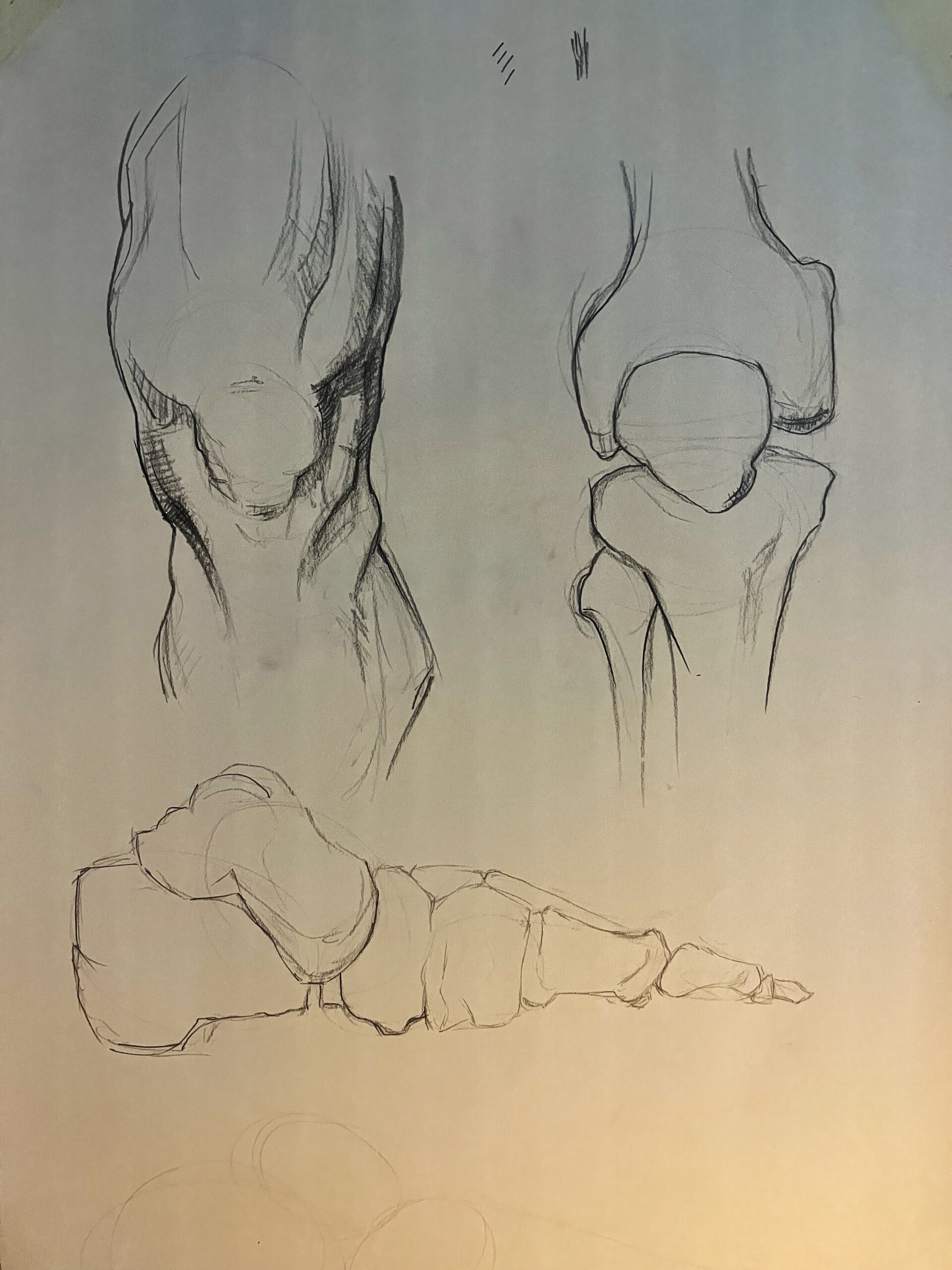 ArtStation - Academic Drawings #1