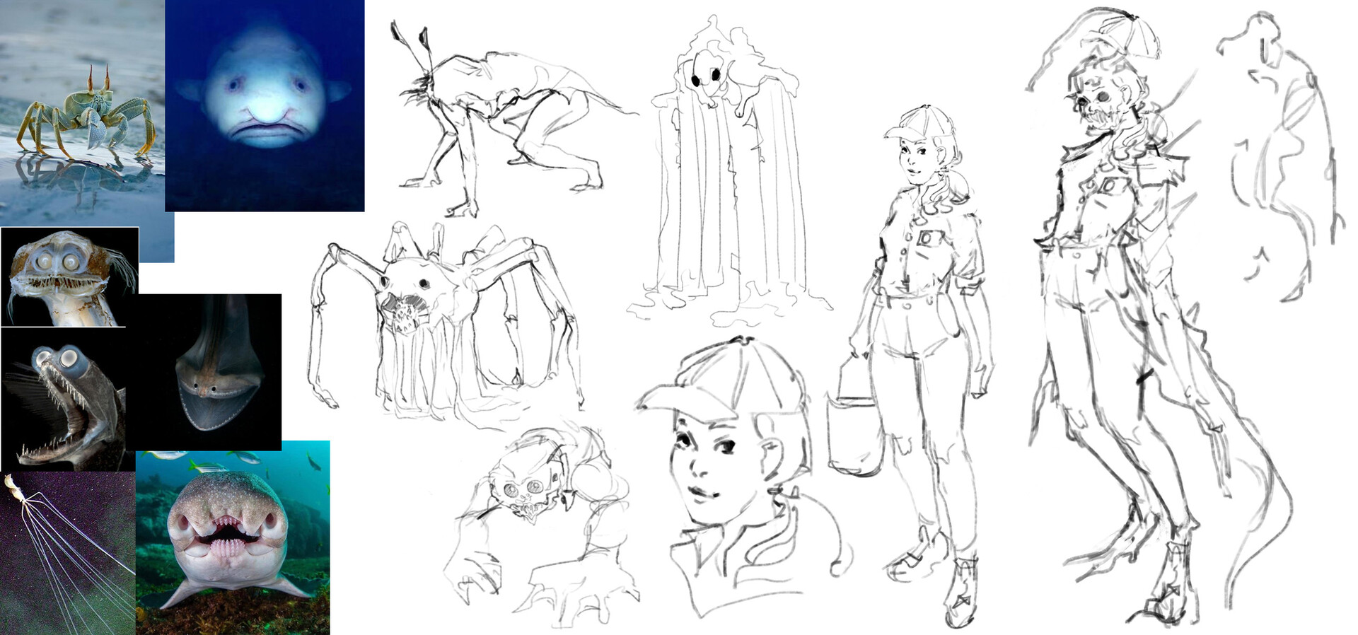 Megan-Louise Morris - U.C.C - Lacey