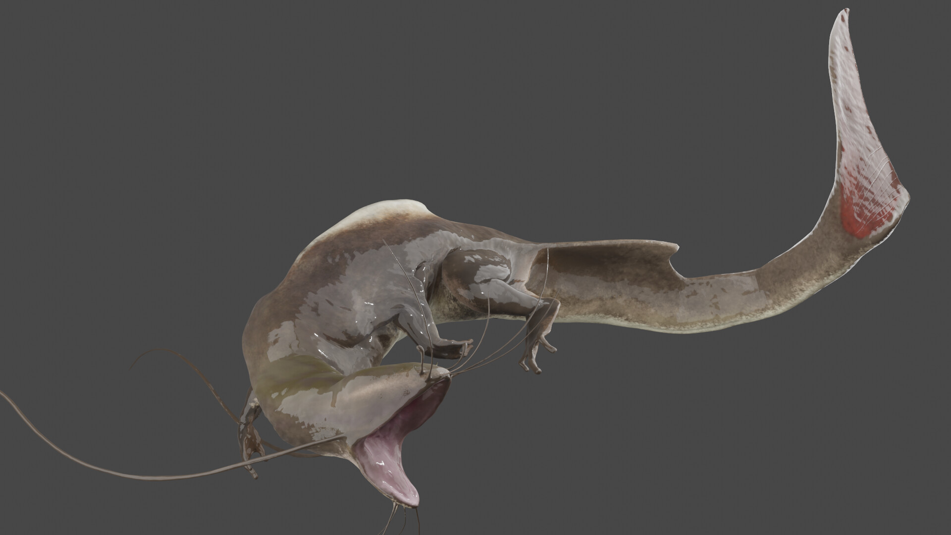 ArtStation - Catfish 3D Model