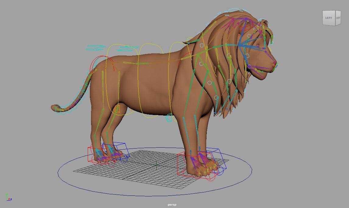 Jillian Vera Cruz - Final year project -Lion Rigging and Animation