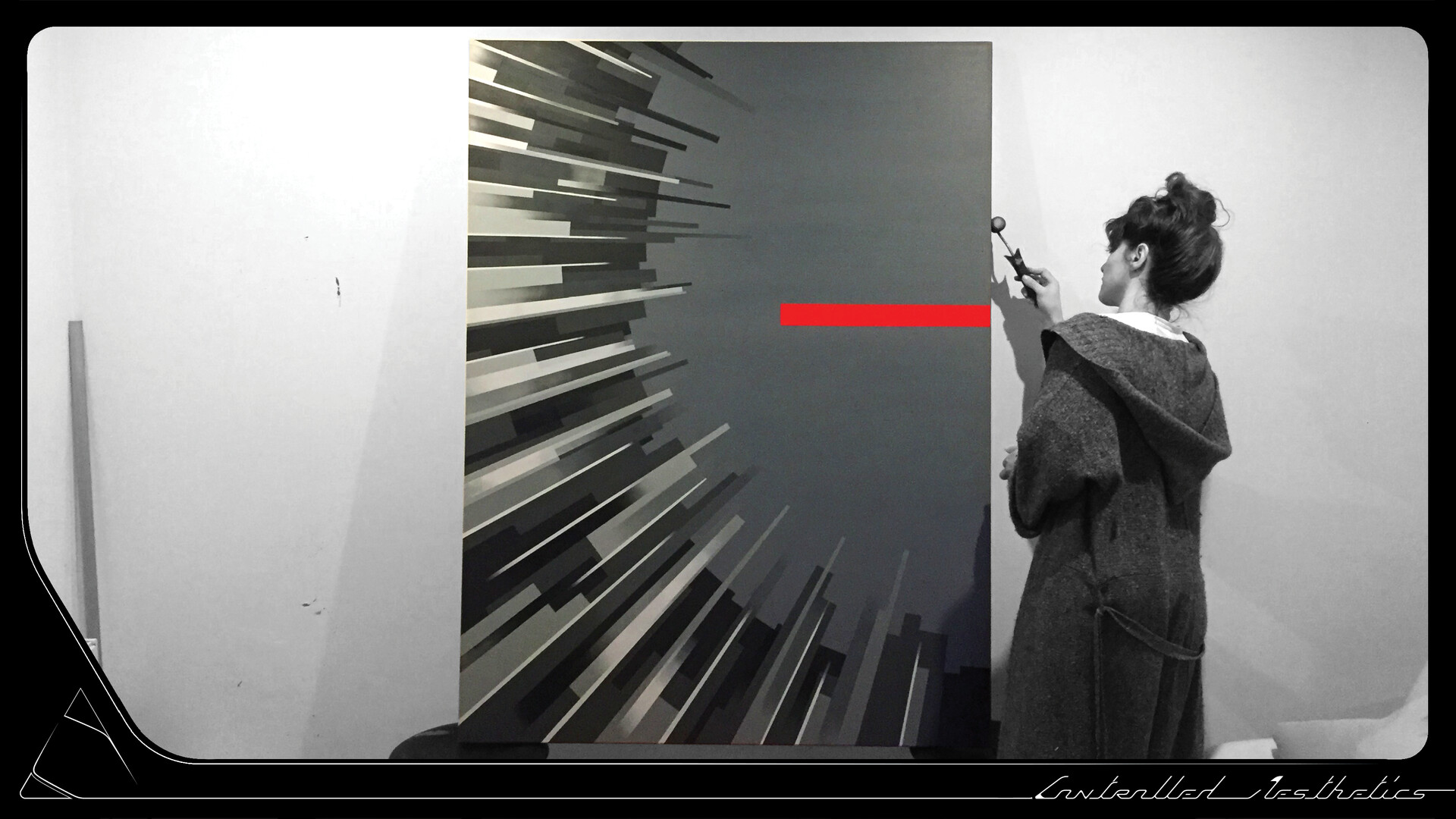 Controlled Aesthetics - Canvas Aesthetics - Controlled Aesthetics