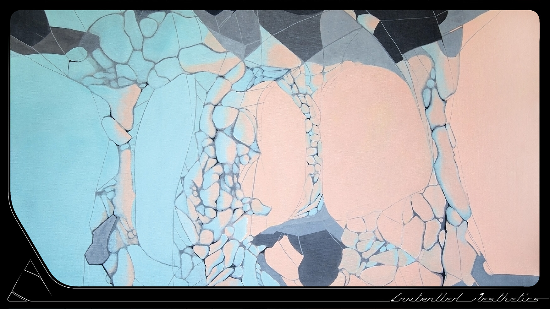 Controlled Aesthetics - Canvas Aesthetics - Controlled Aesthetics