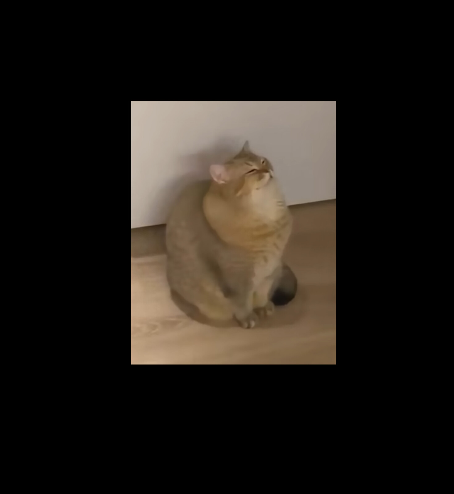 Hunor Fogarasi - Jade Cat