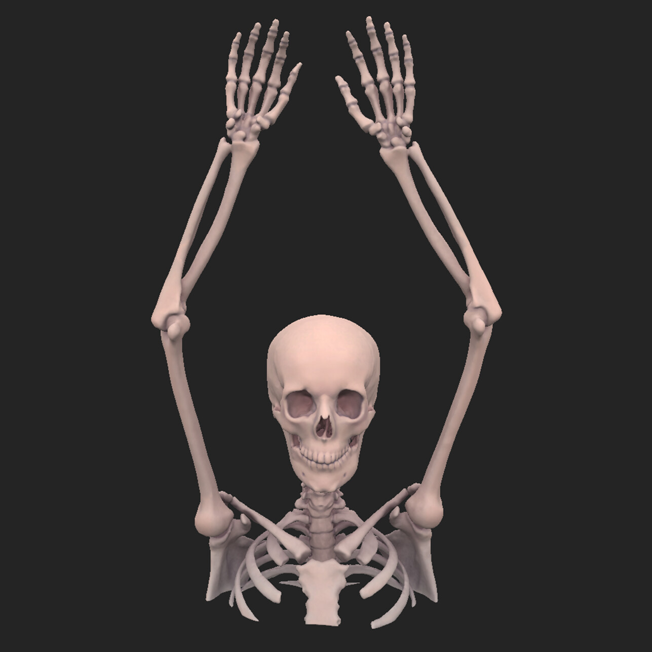 Callum - CT Reconstruction