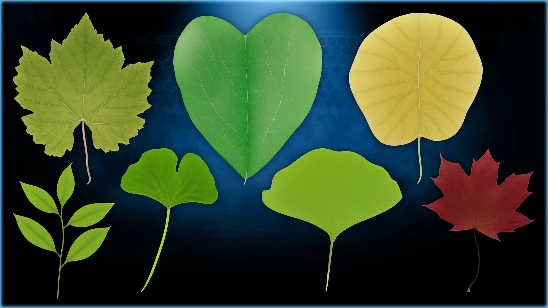 T - World - 50 Realistic Leaves - PBR Textures (MEGA Bundle) - Vol 1