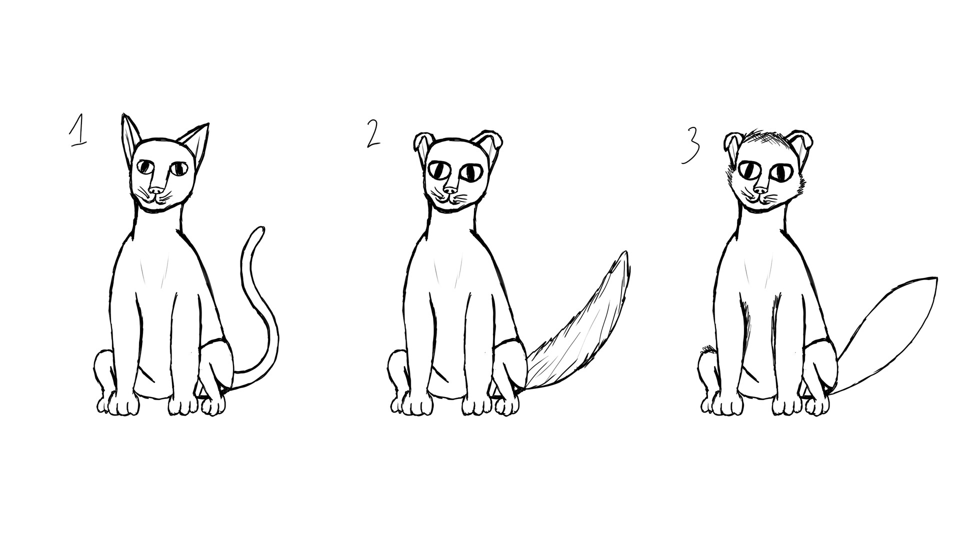 project shadow coloring pages