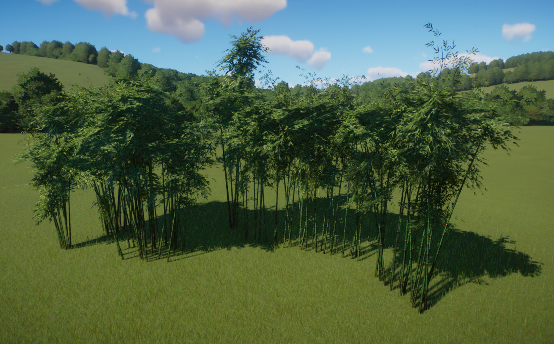 Chris Martin - Planet Zoo Vegetation