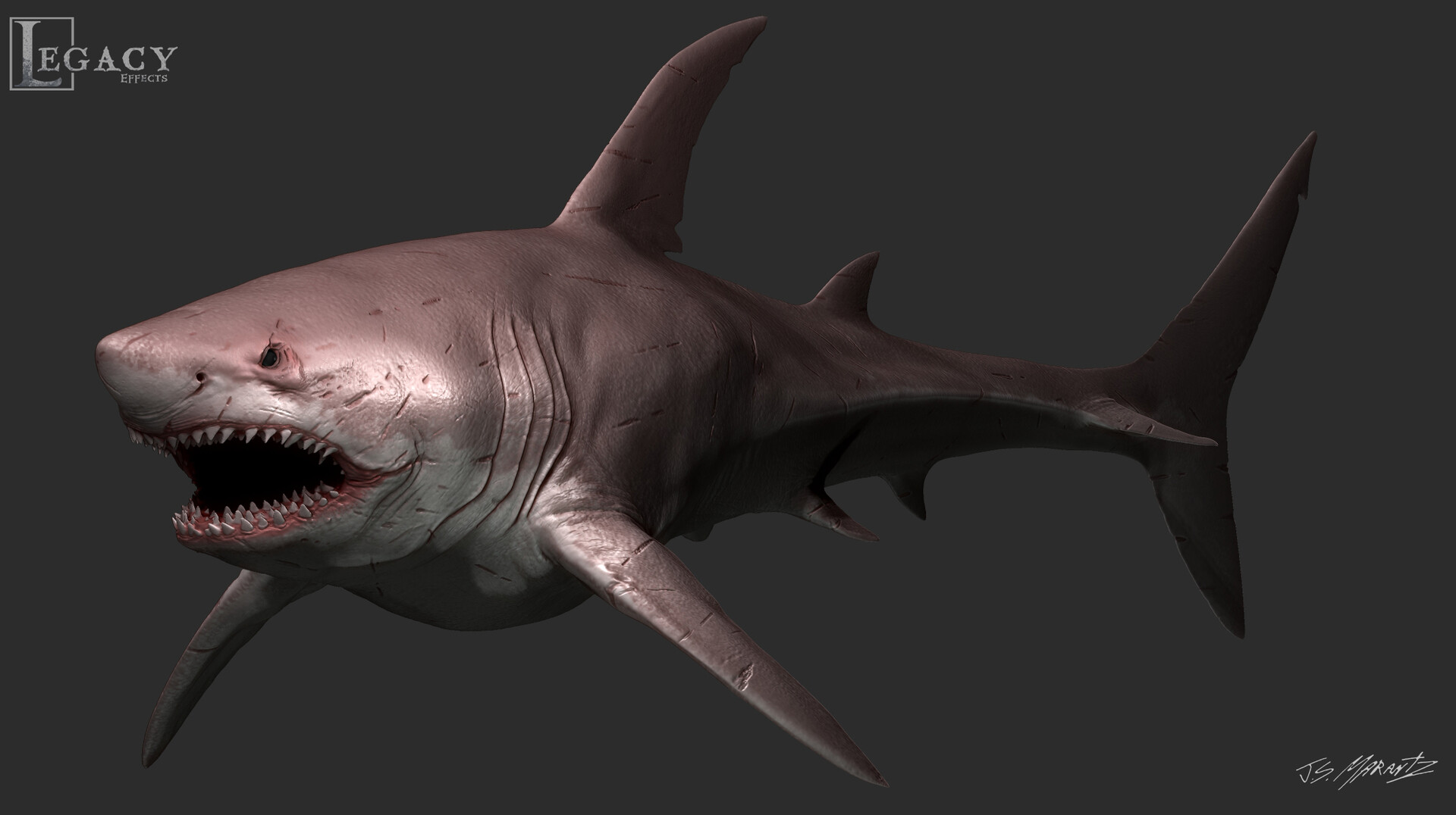 Jerad S. Marantz - The MEG