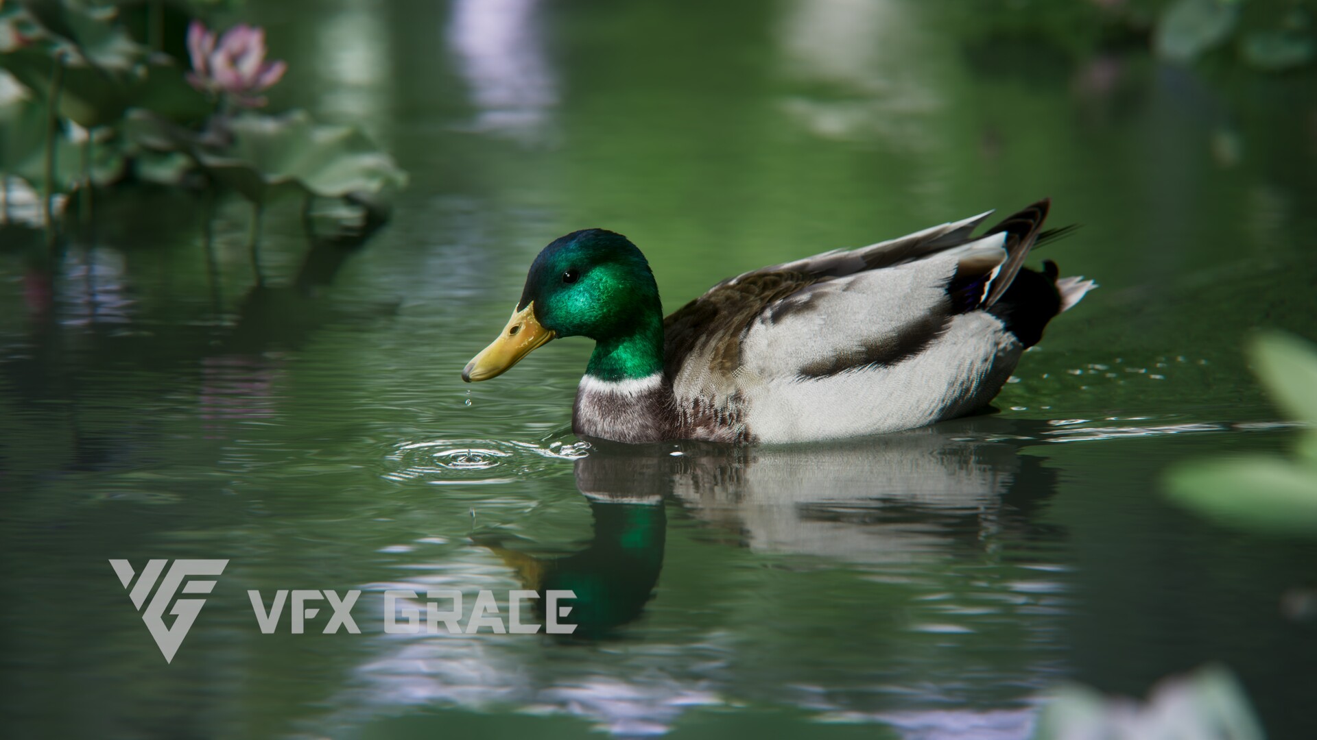 ArtStation - Male Mallard Animation