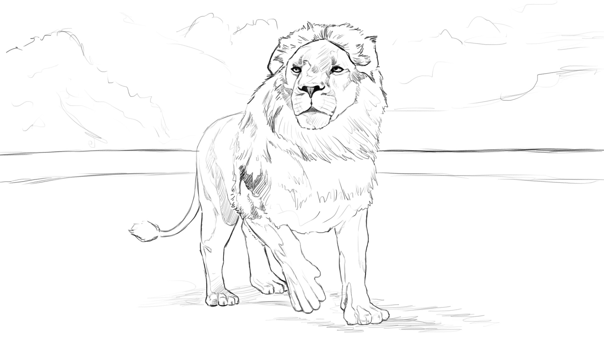 how to draw aslan the lion from narnia