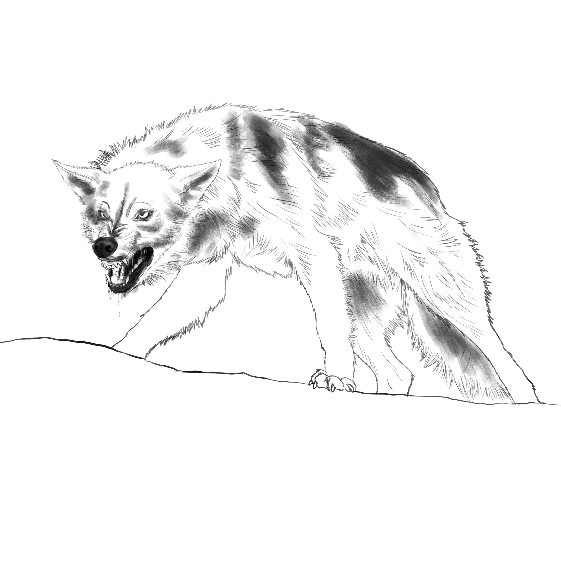 how to draw a wolf with its mouth open