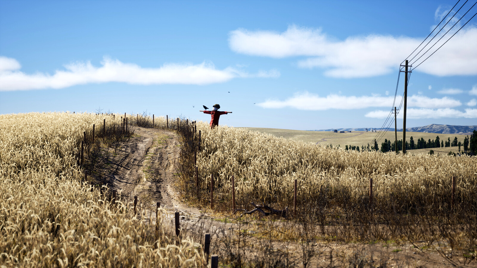 Mert Mimaroglu - Wheat Fields