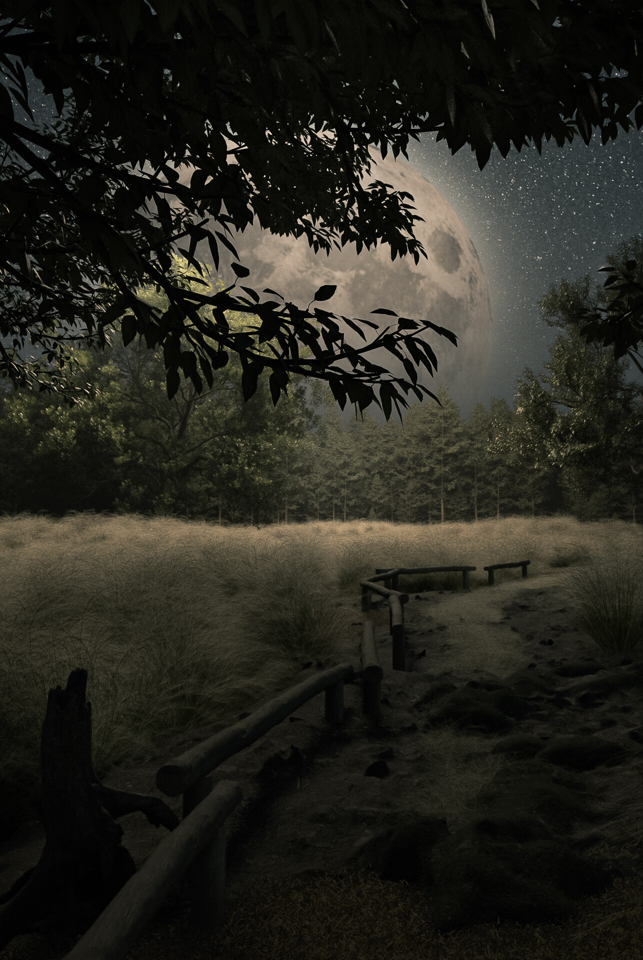 ArtStation - Secret Moon