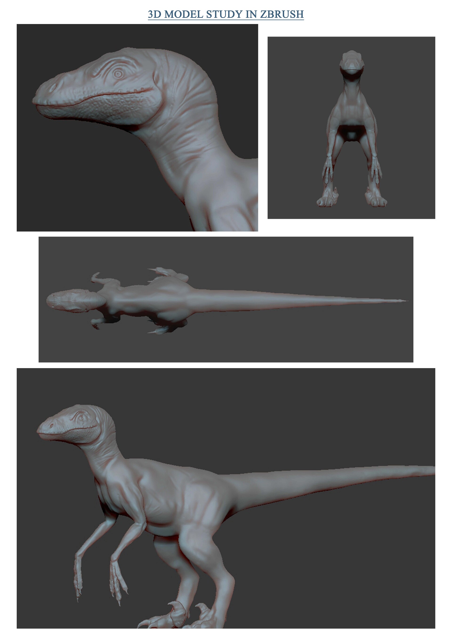 ArtStation - Z-Brush Study