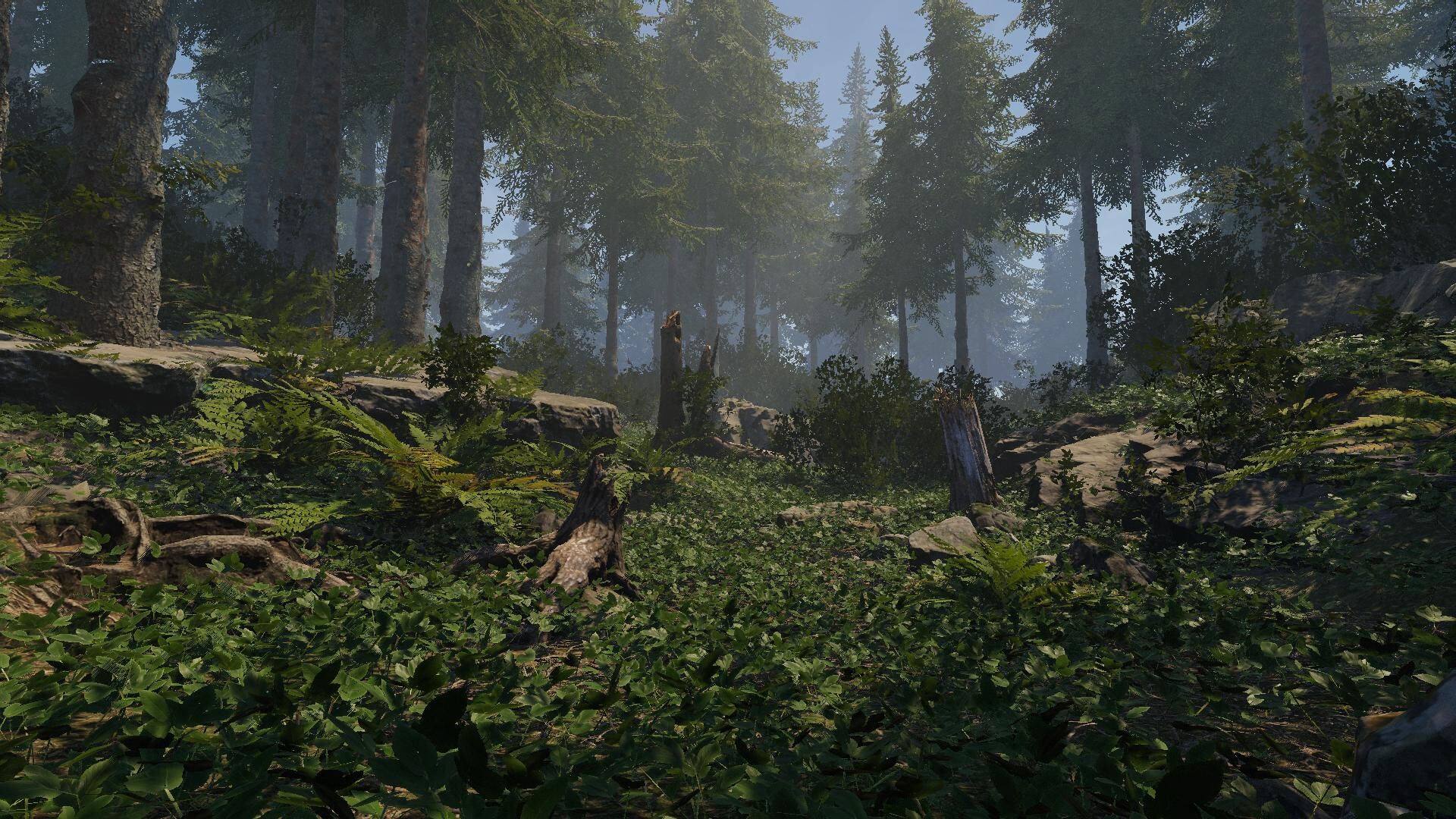 ArtStation - Soothing Forest